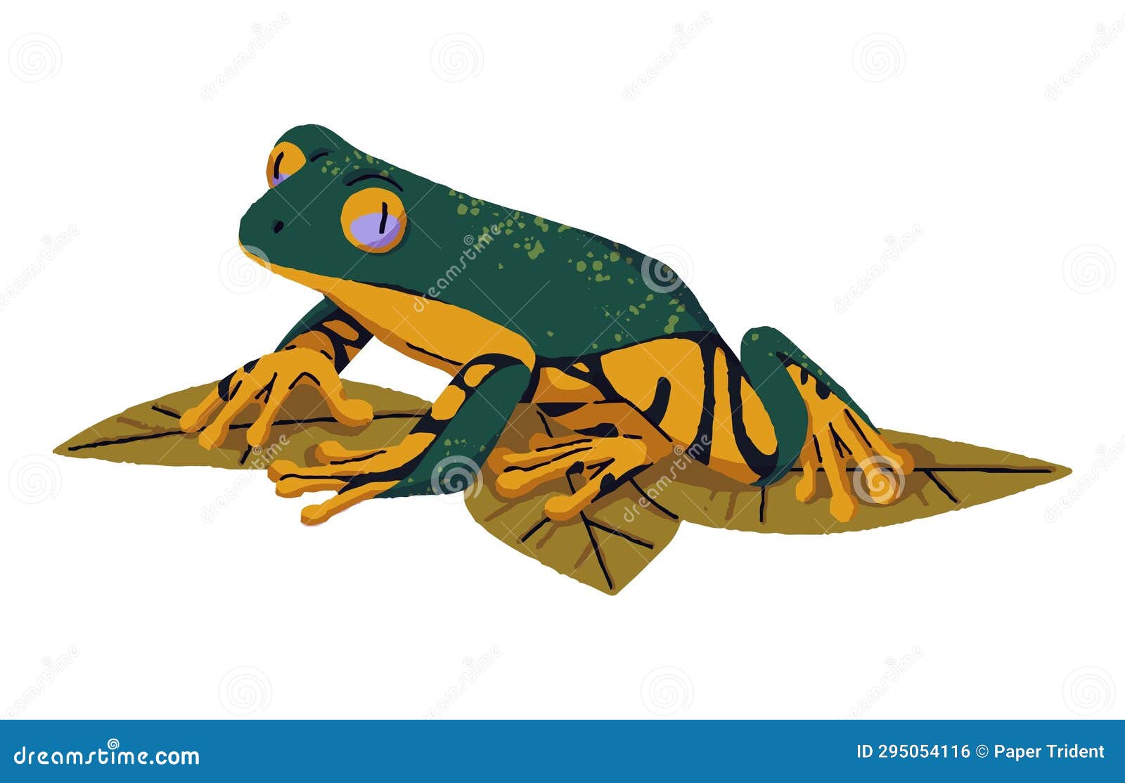 Splendid Treefrog, Rainforest Tree Frog. Small Toad with Patterned Skin ...