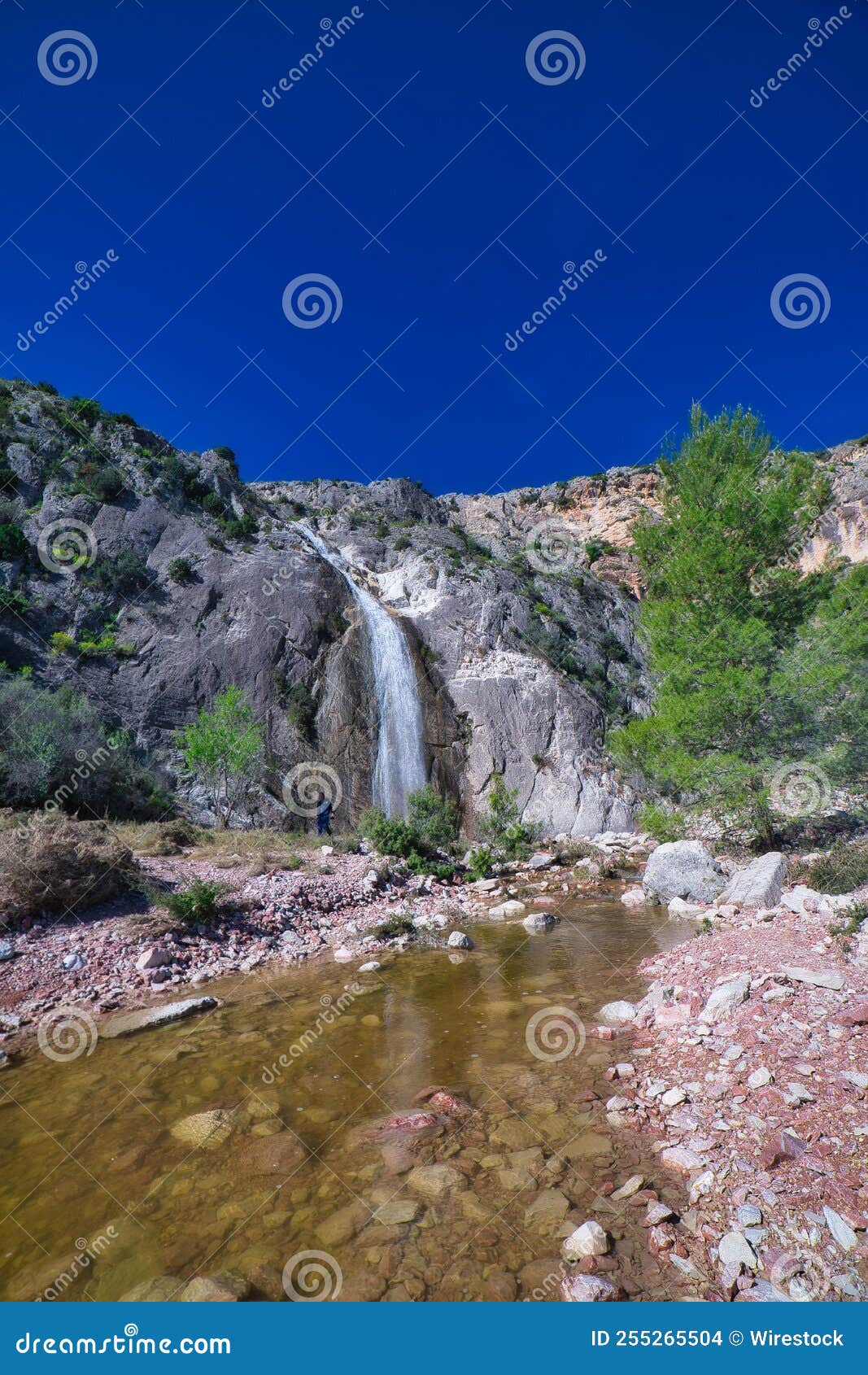 Splendid Vertical View of a Waterfall Falling into a Shallow Stream ...