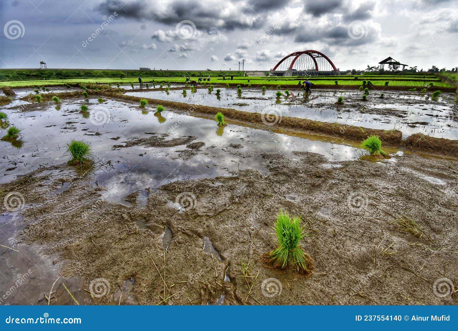 The Splendor of the Kali Kuto Bridge, the Icon of the Trans Java Toll ...