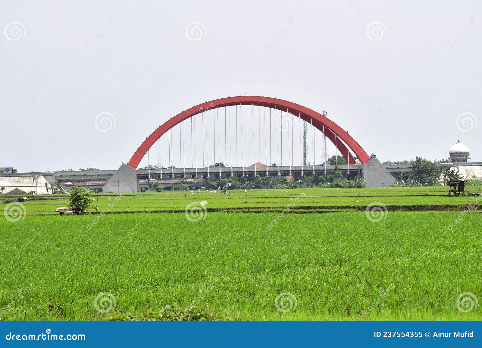 The Splendor of the Kali Kuto Bridge, the Icon of the Trans Java Toll ...