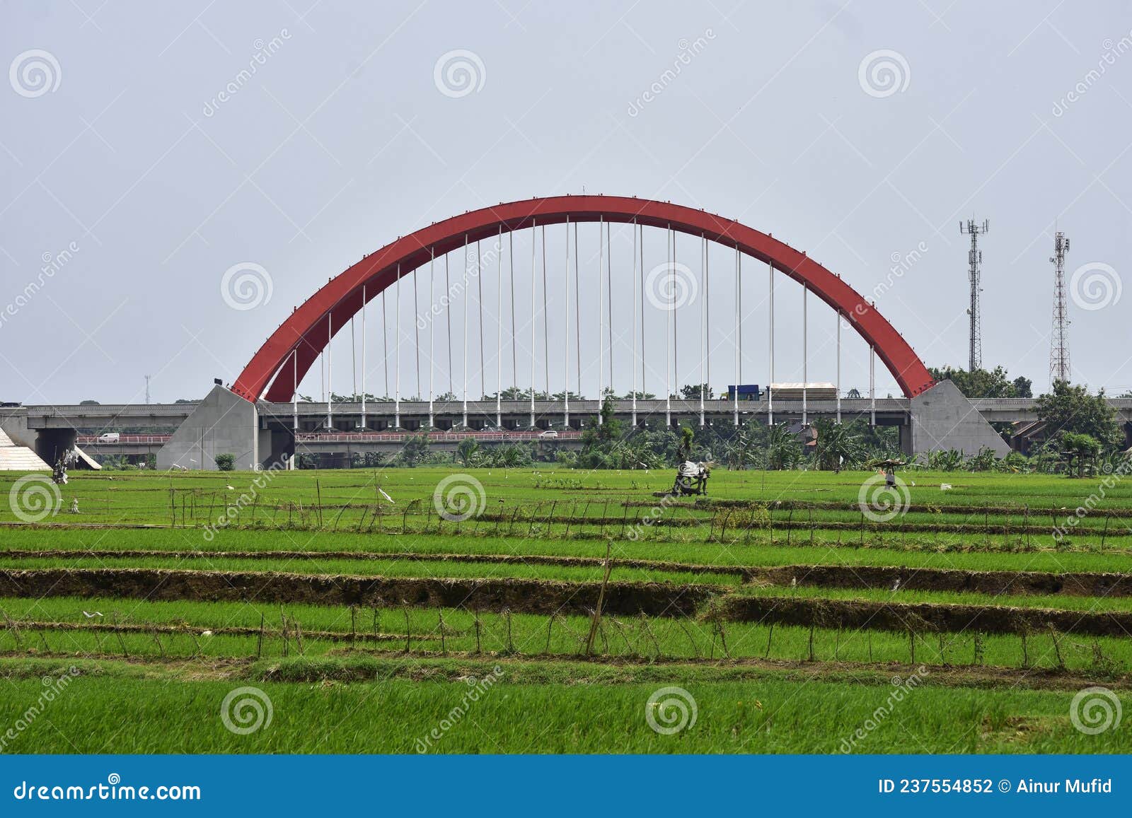 The Splendor of the Kali Kuto Bridge, the Icon of the Trans Java Toll ...