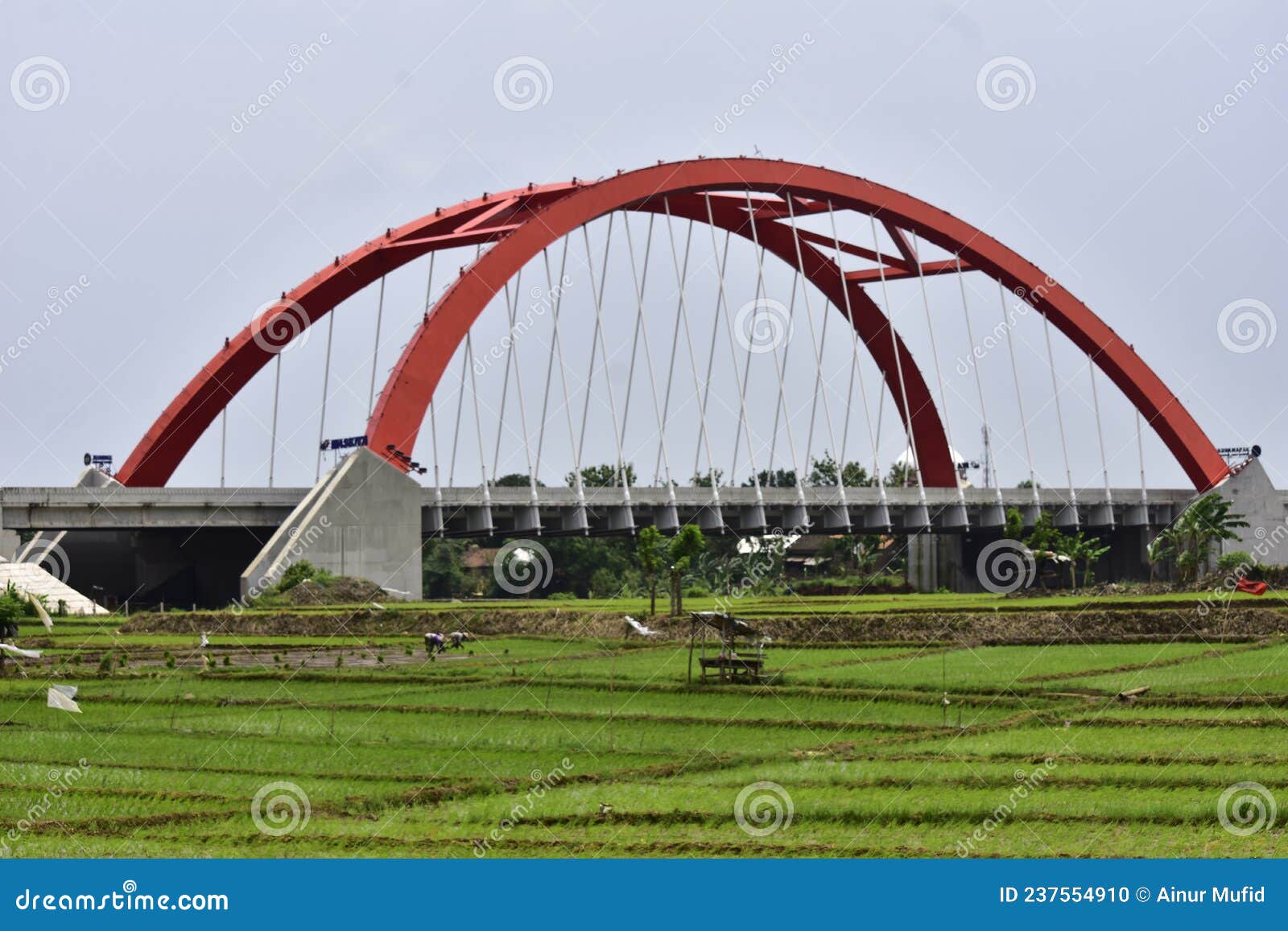 The Splendor of the Kali Kuto Bridge, the Icon of the Trans Java Toll ...