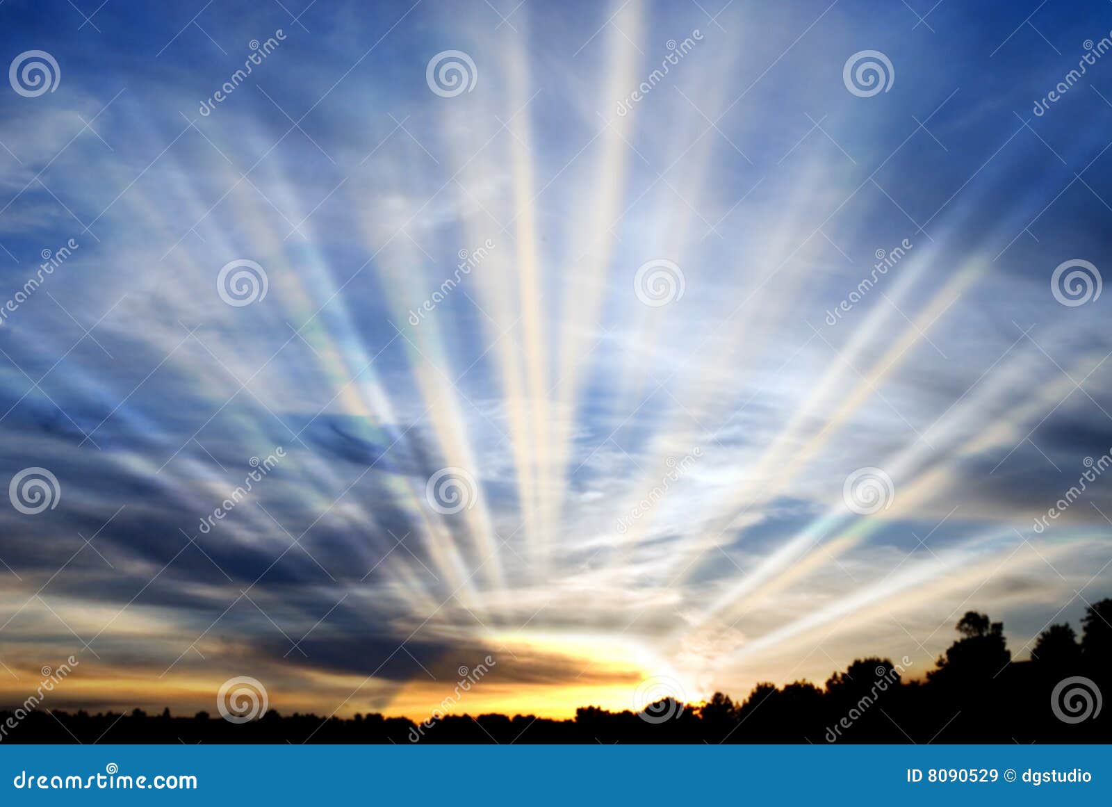 Splendore di Sun immagine stock. Immagine di parteggiato - 8090529