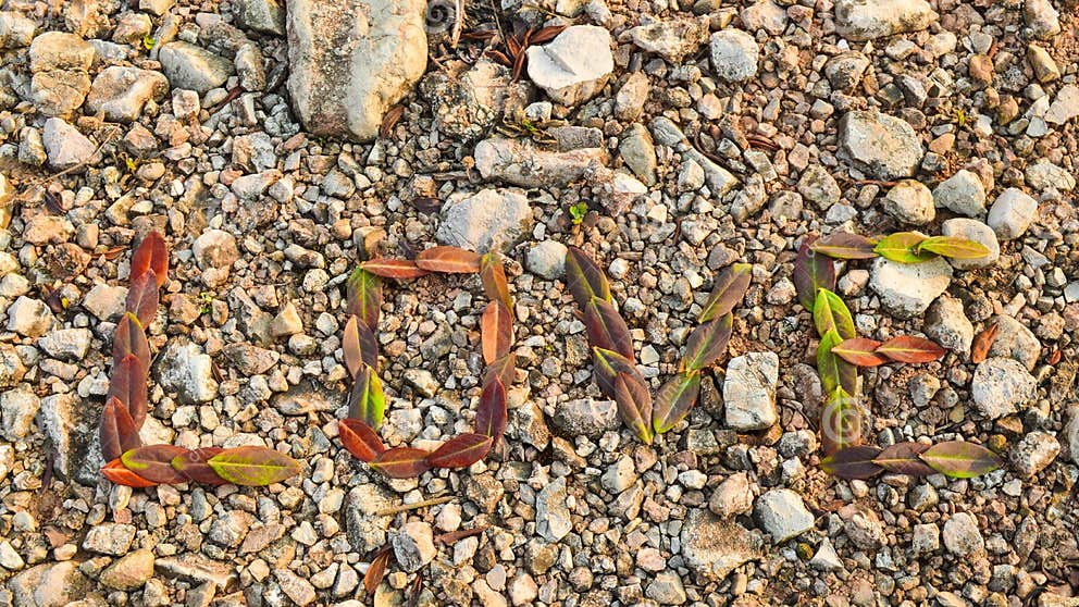 Splicing Love with the Leaves Stock Photo - Image of isolated, harvest ...
