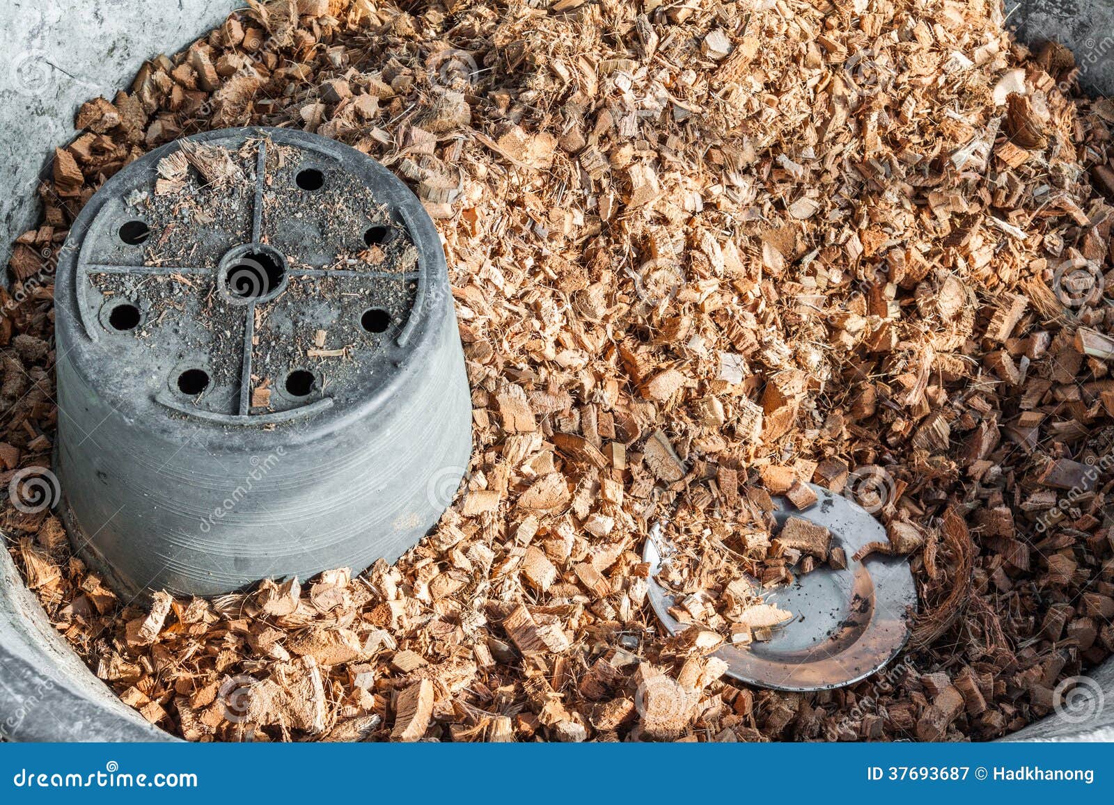 Splinter and coir in basin stock image. Image of bark - 37693687