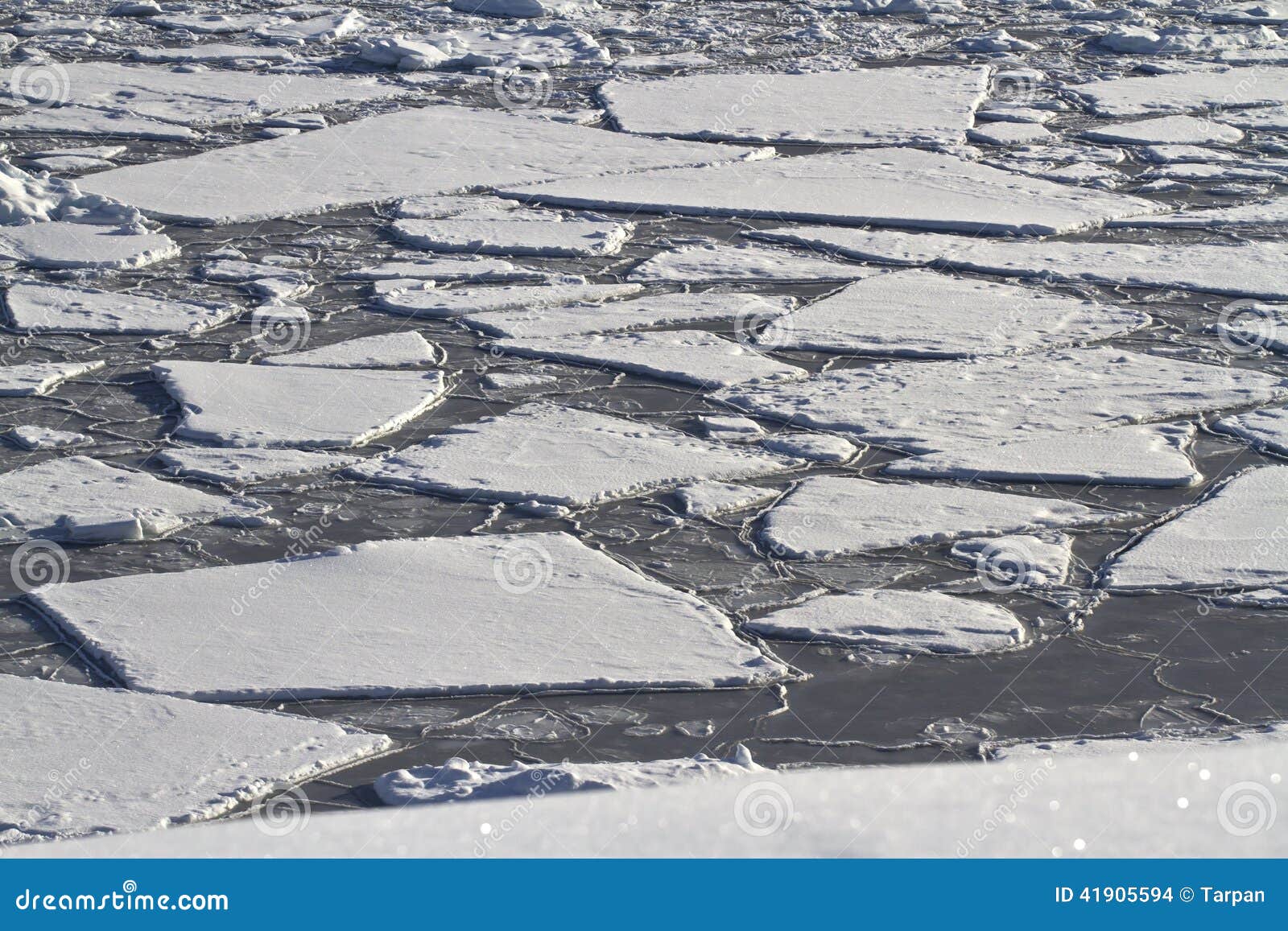 Splintered Ice Field in Antarctic Stock Photo - Image of environment ...