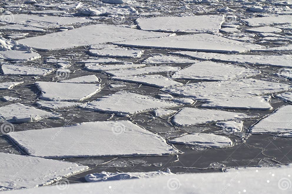 Splintered Ice Field in Antarctic Stock Photo - Image of environment ...