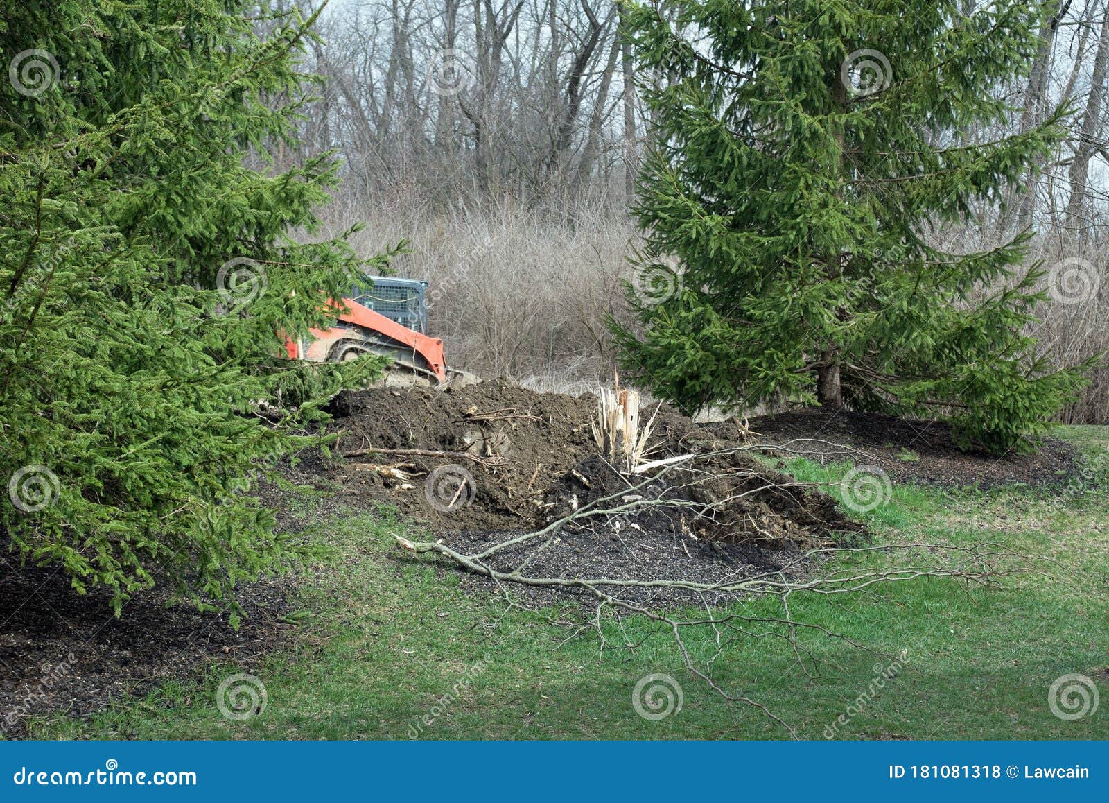 Splintered Tree Trunk after Felling Stock Photo - Image of hill, heavy ...