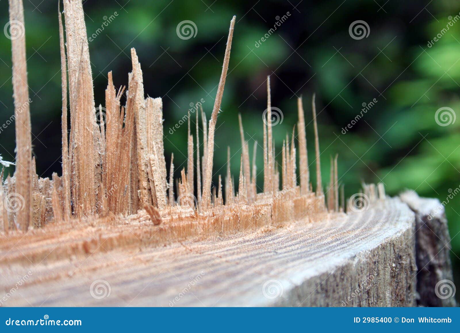 Splintered wood stock photo. Image of tree, brown, wood - 2985400