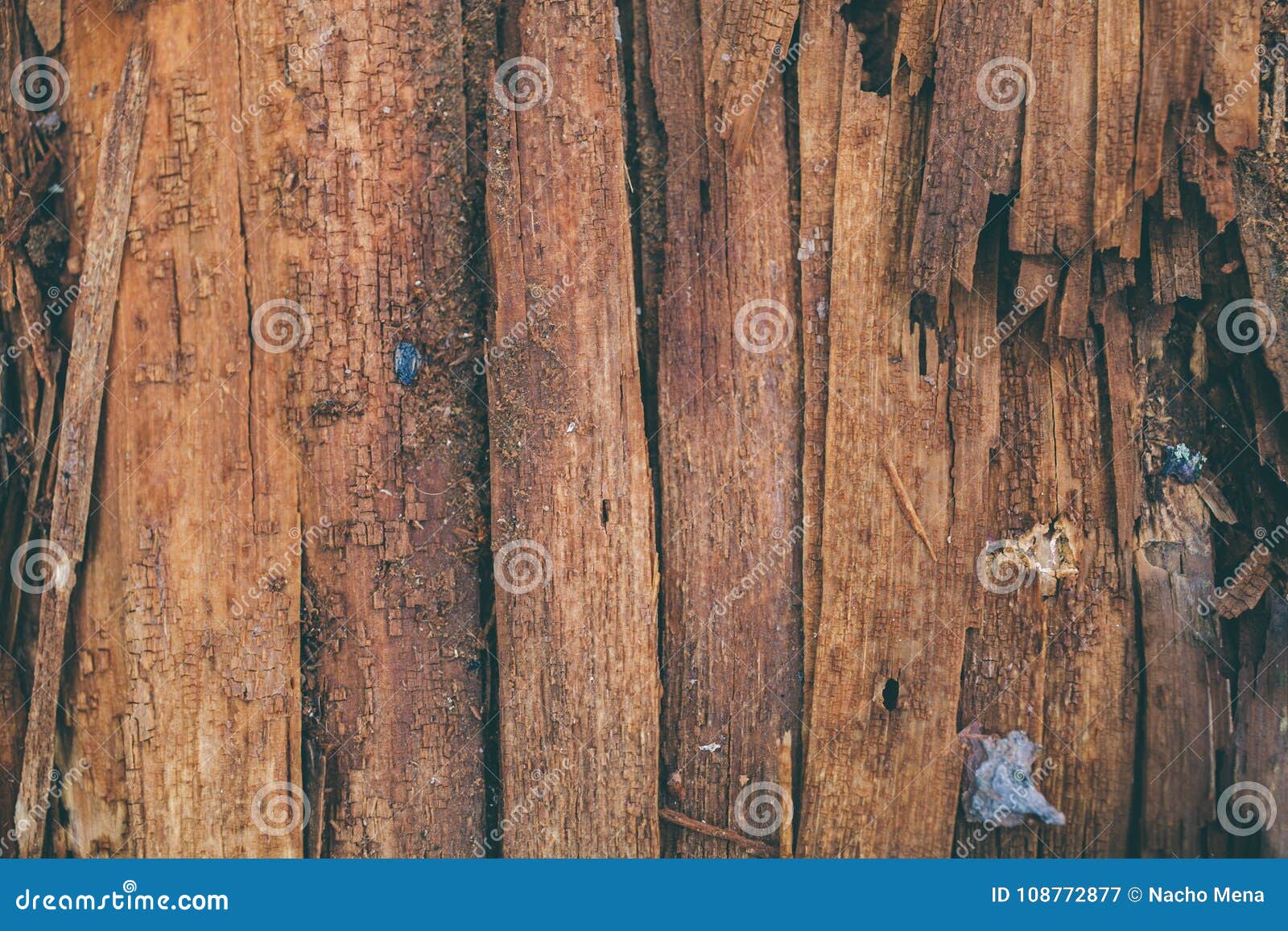 Splintered Wood Texture and Background. Closeup View of Splinter Wood ...