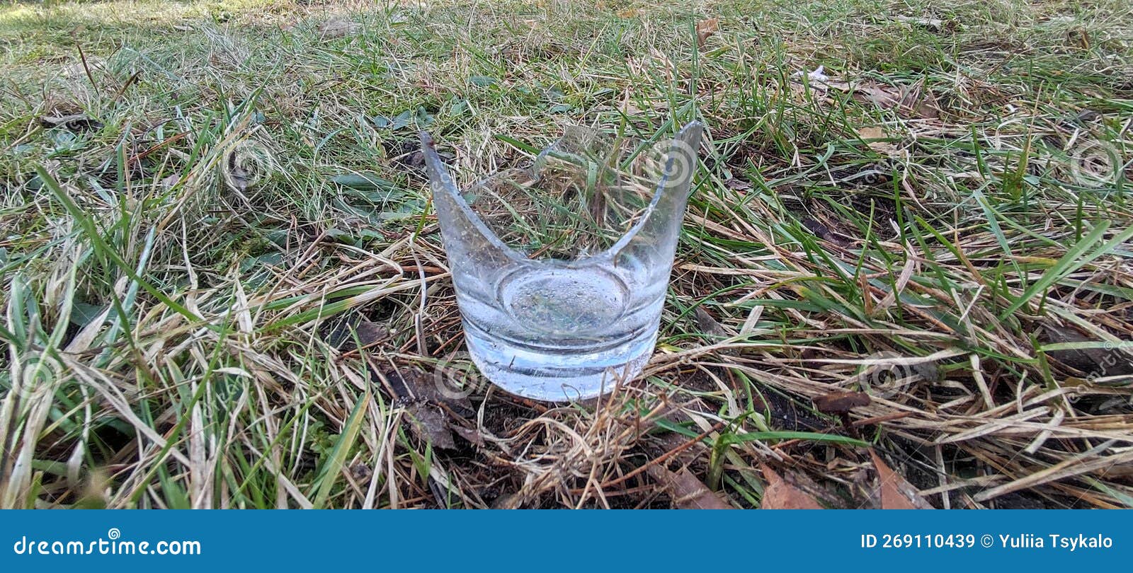 Splintering Branch Stock Photos - Free & Royalty-Free Stock Photos from ...