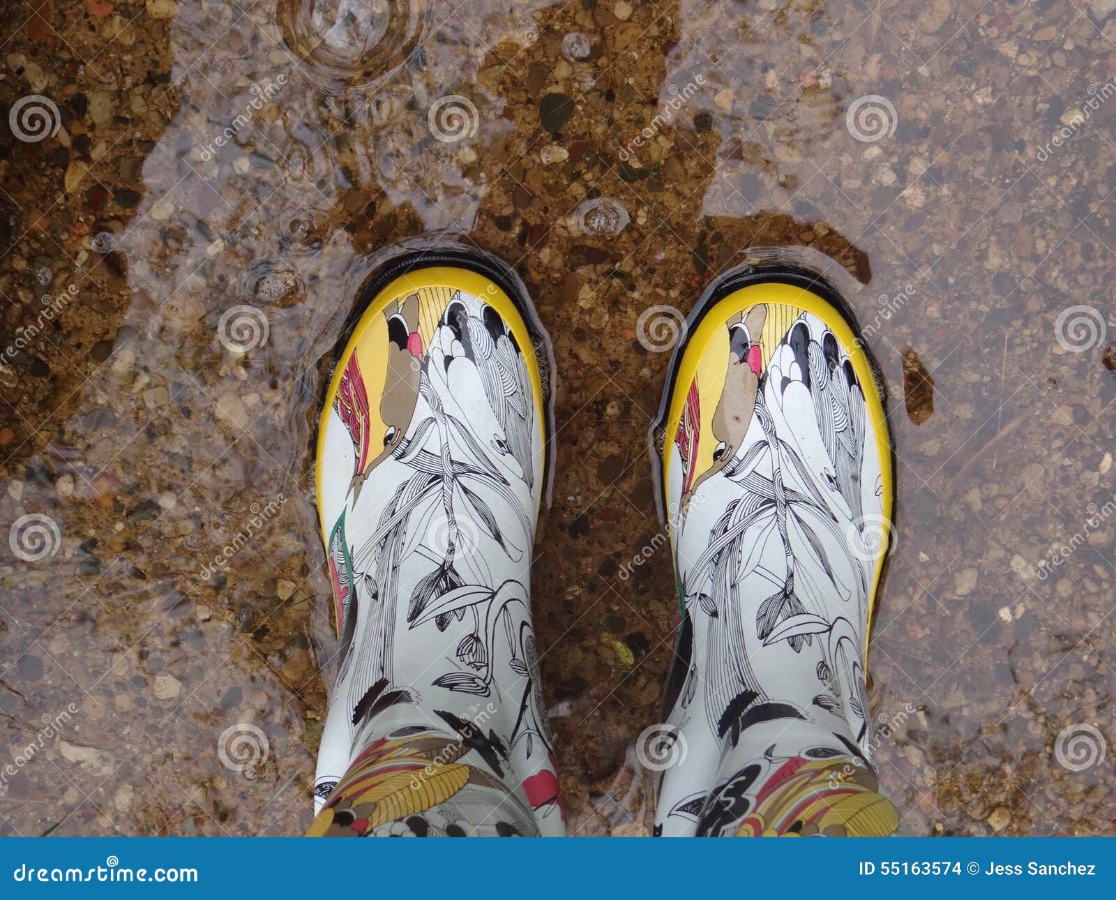 Splish Splash stock photo. Image of raining, splash, puddle - 55163574