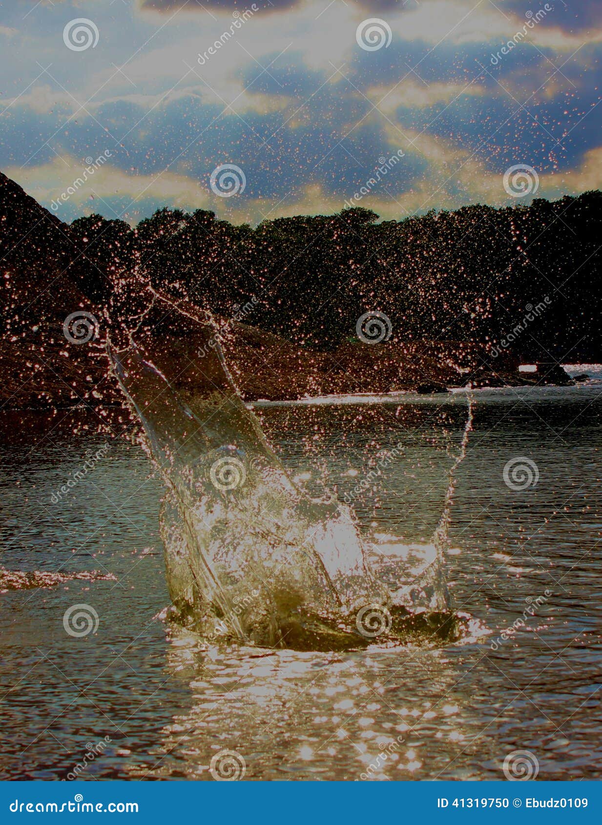Splish Splash stock photo. Image of lake, water, reflextions - 41319750