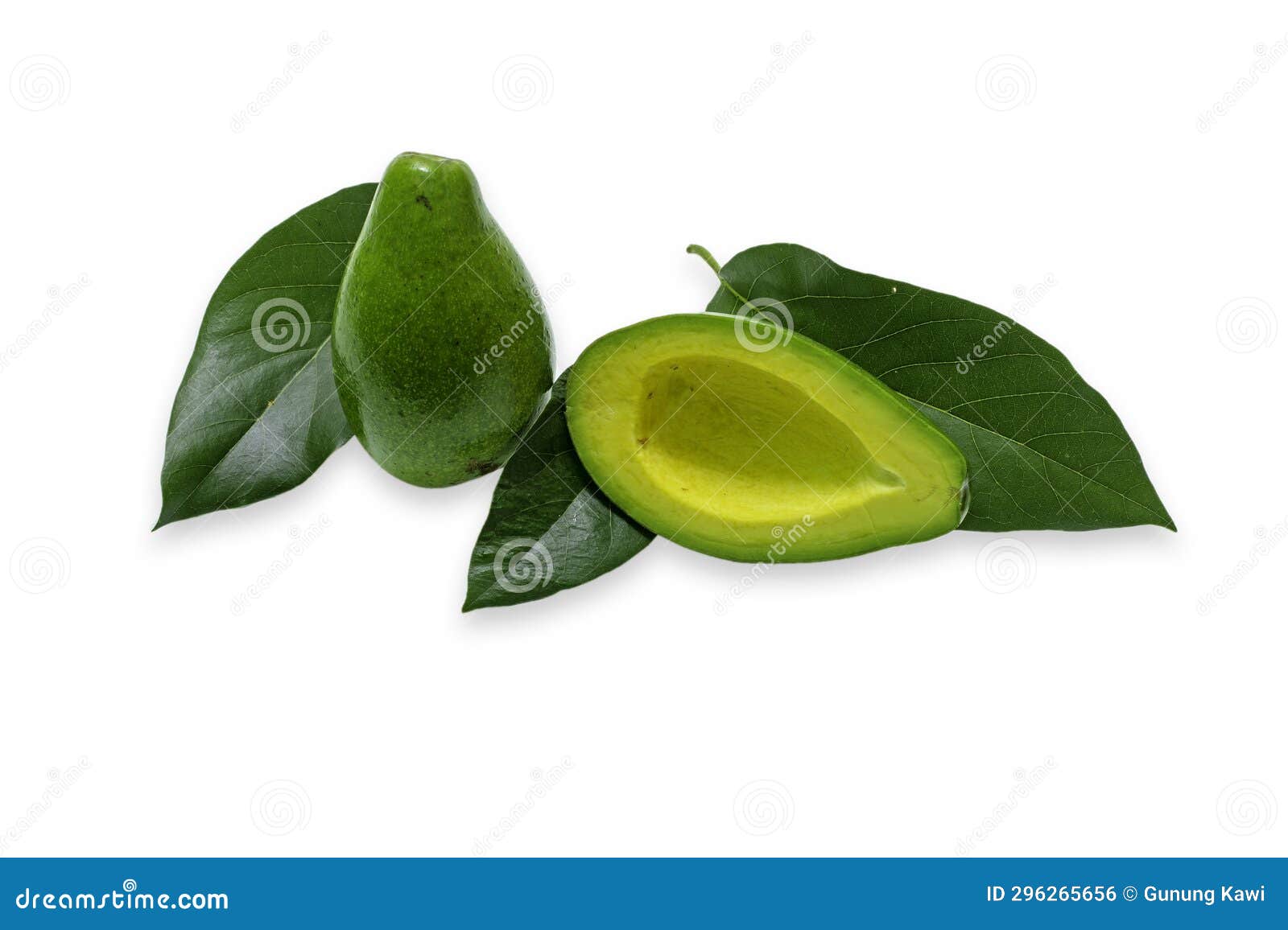 Split Avocado Fruit with Leaves on White Background Stock Photo - Image ...