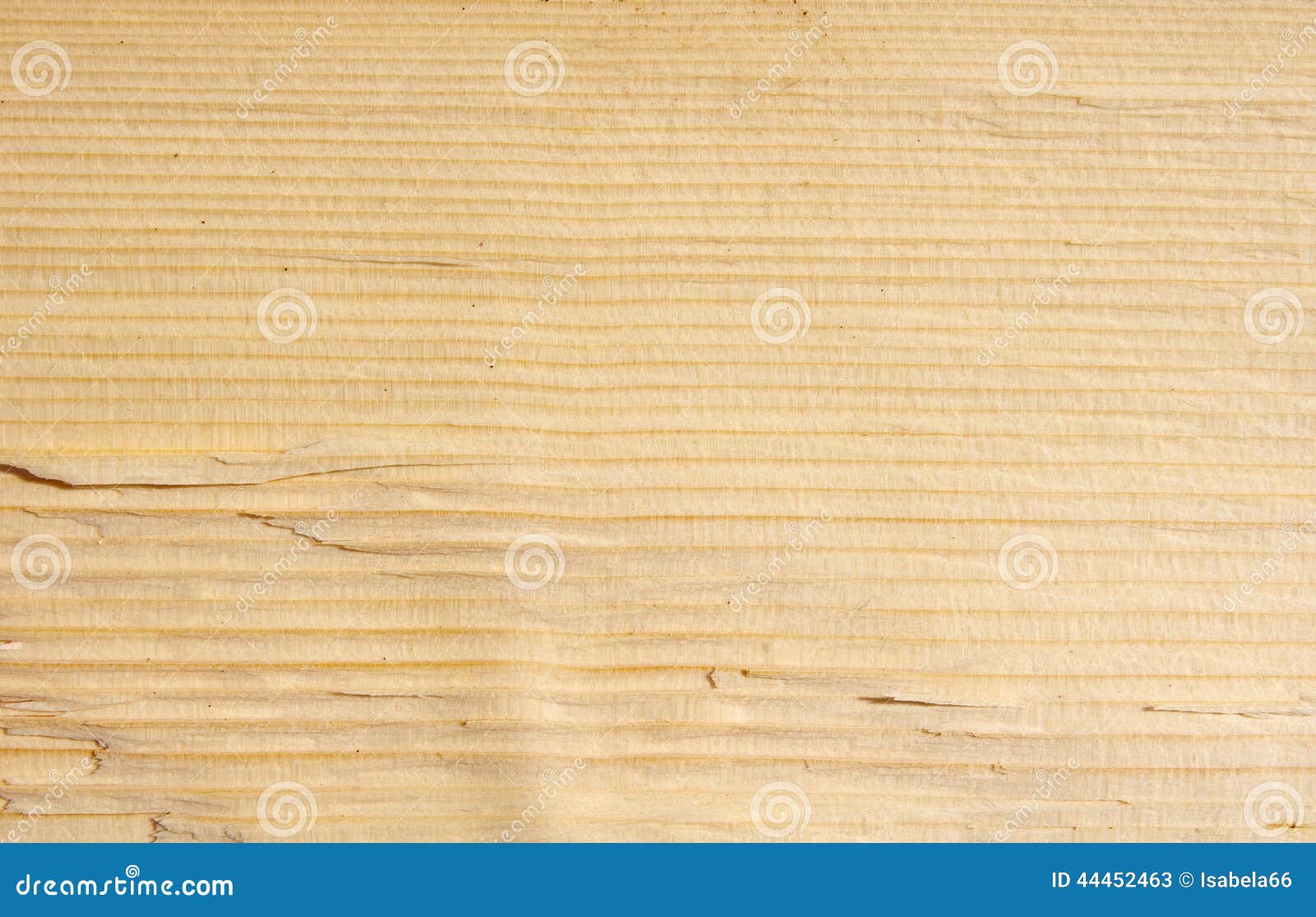 Split beech log texture stock image. Image of surface - 44452463