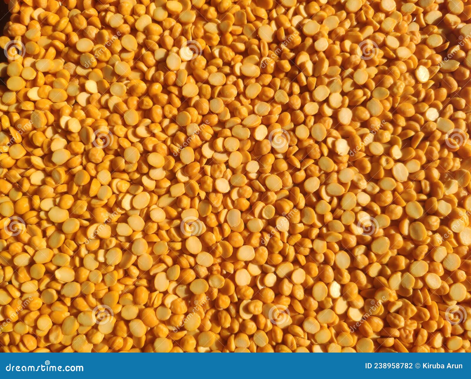 Split Bengal gram stock photo. Image of herb, vegetable - 238958782