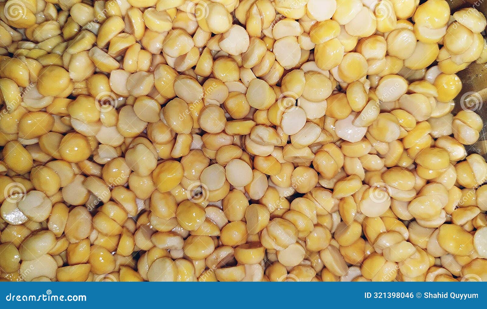 Split Bengal Gram Royalty-Free Stock Image | CartoonDealer.com #238958782