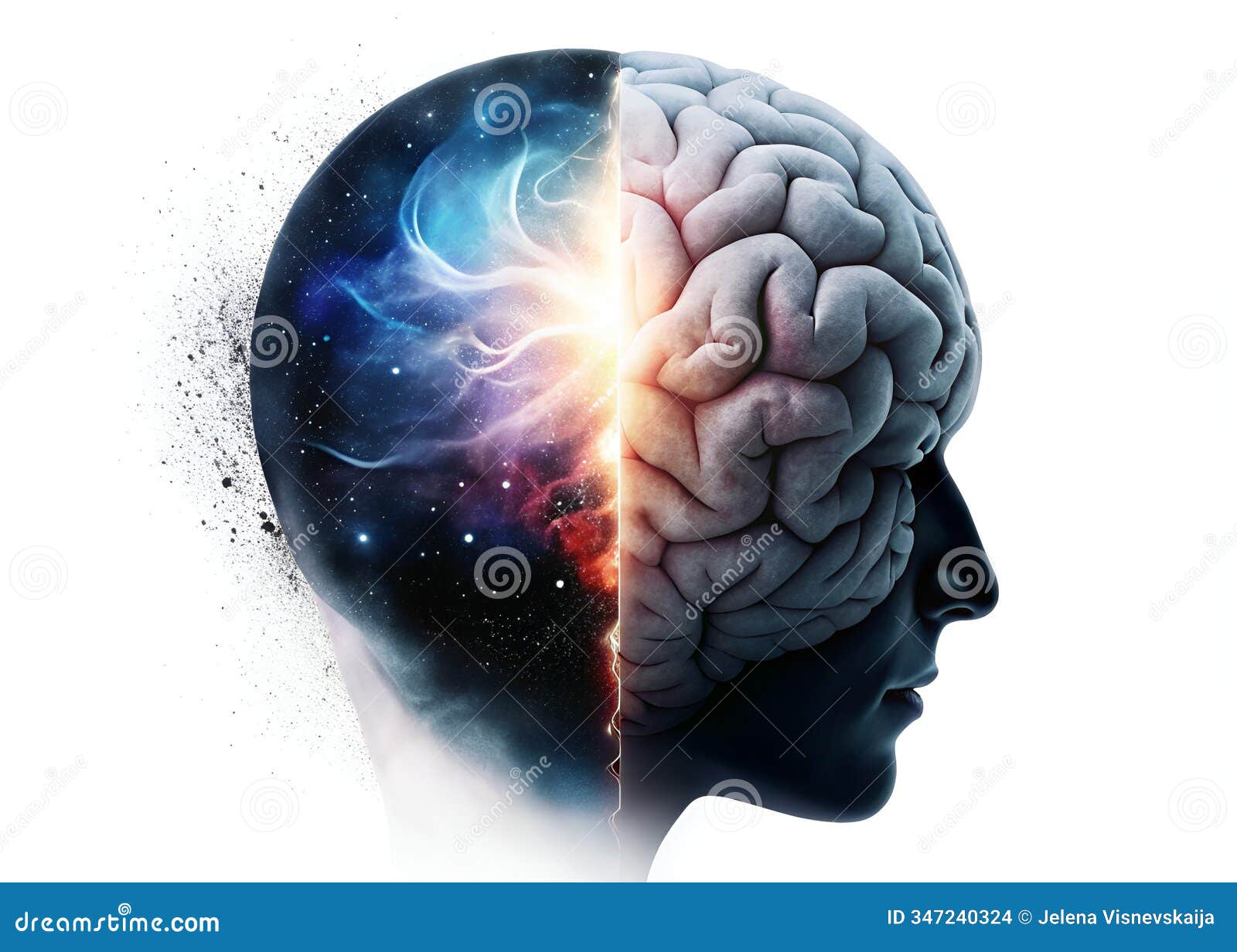A Split Brain, with One Half of the Brain in a Blue and Purple Color ...