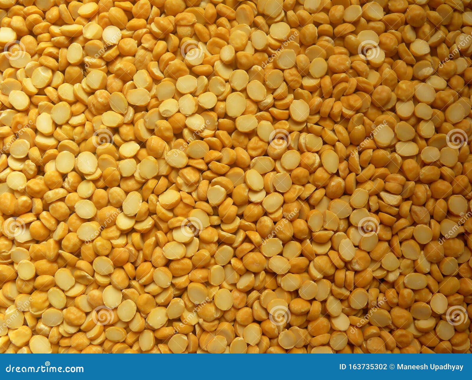 Split Chana dal stock photo. Image of heap, dried, lentil - 163735302
