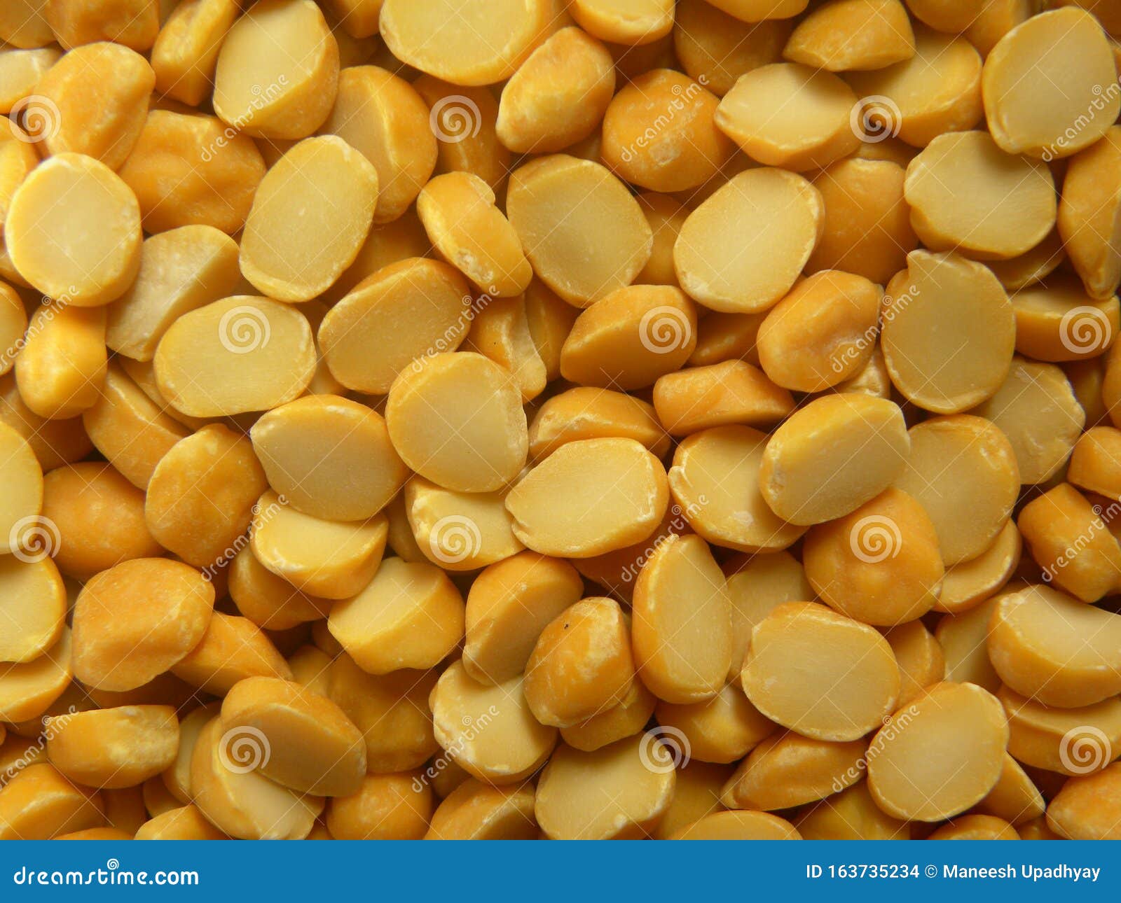 Split Chickpeas lentils stock photo. Image of grain - 163735234