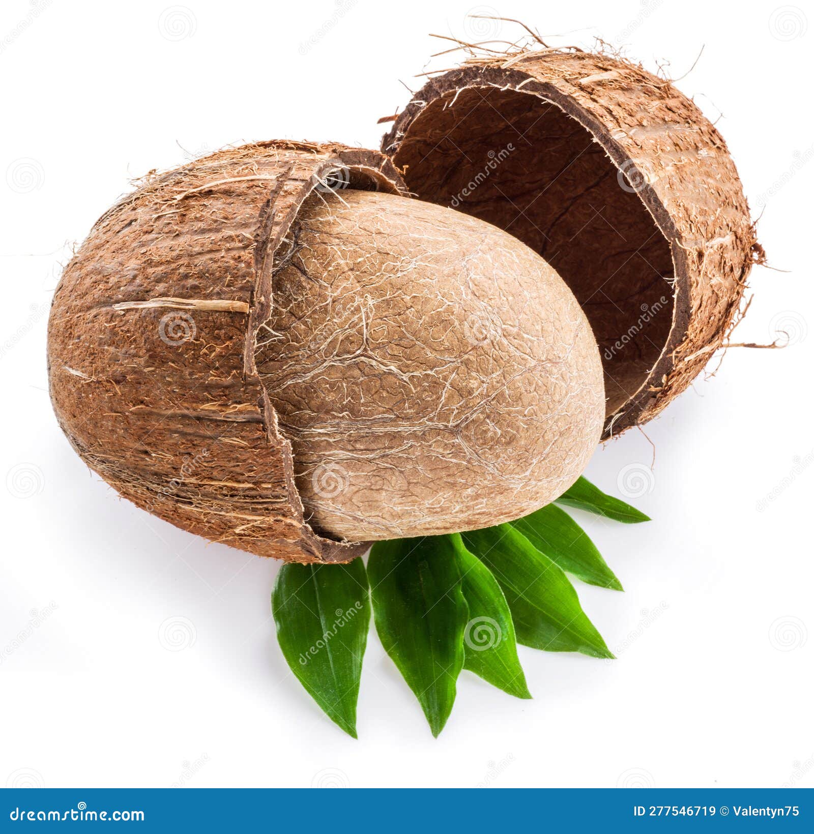 Split Coconut Fruit with Whole Inside Seed Over Green Leaves Isolated ...