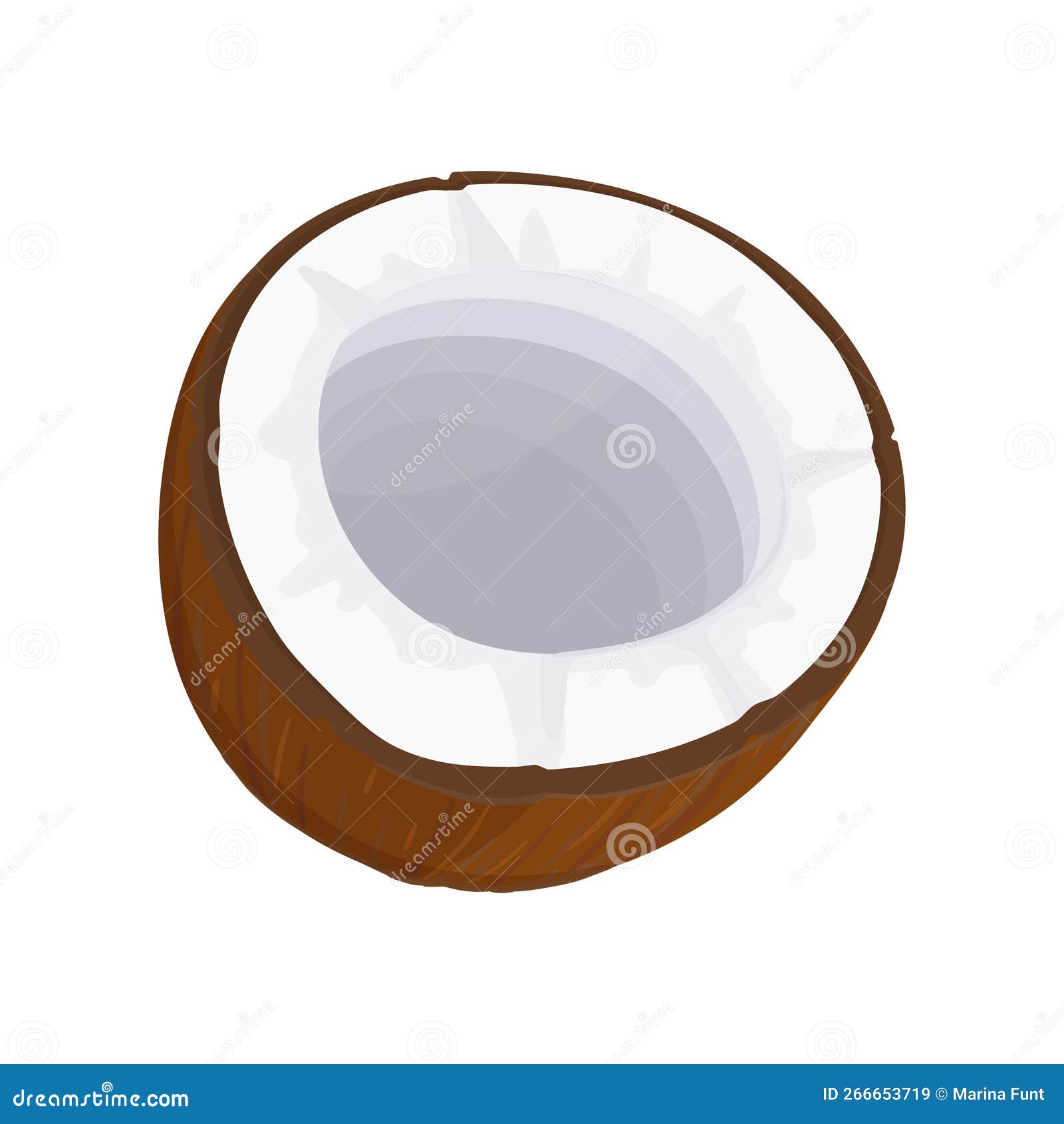 Split the Coconut in Half. Cartoon Coconut Icon Stock Vector ...
