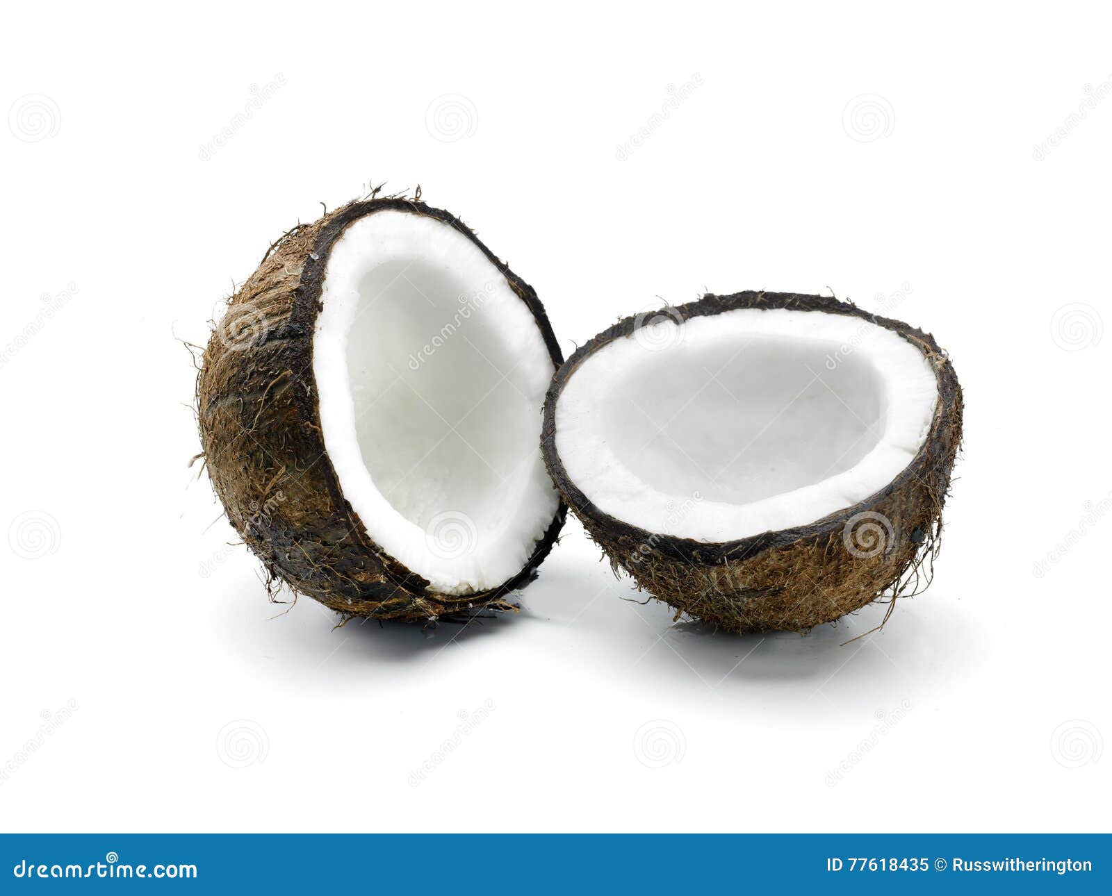 Split Coconut stock image. Image of halved, split, seed - 77618435