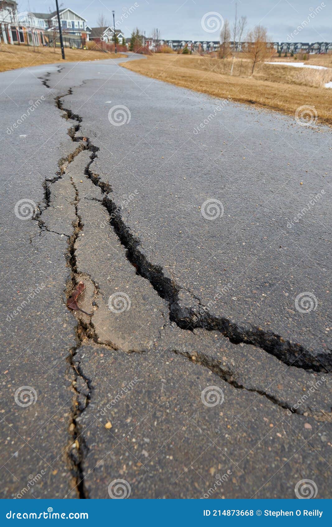 Split and cracked pavement stock photo. Image of footpaths - 214873668