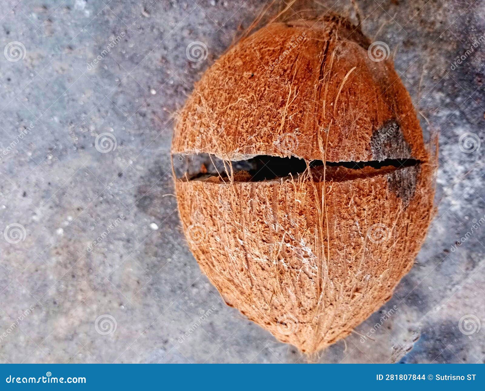 Split dry coconut stock photo. Image of exotic, nutrition - 281807844