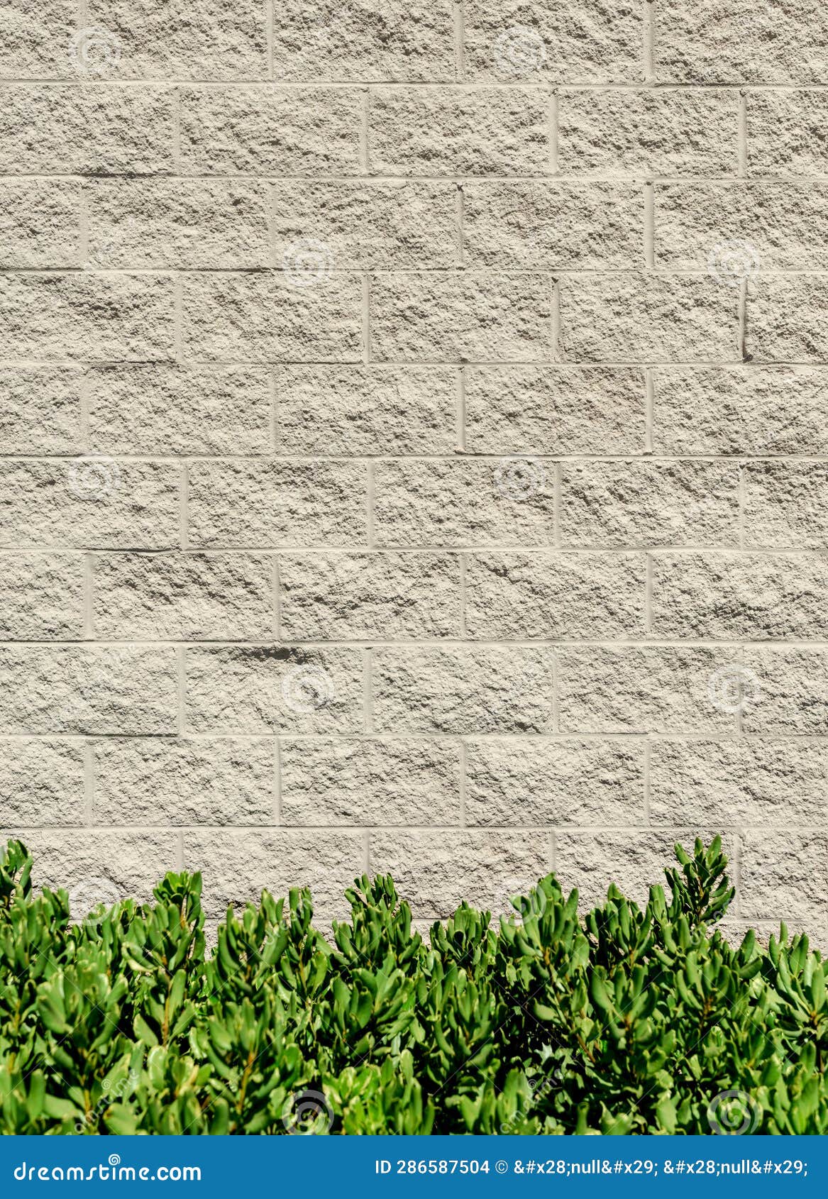 Titanium Buff Stock Photos - Free & Royalty-Free Stock Photos from ...