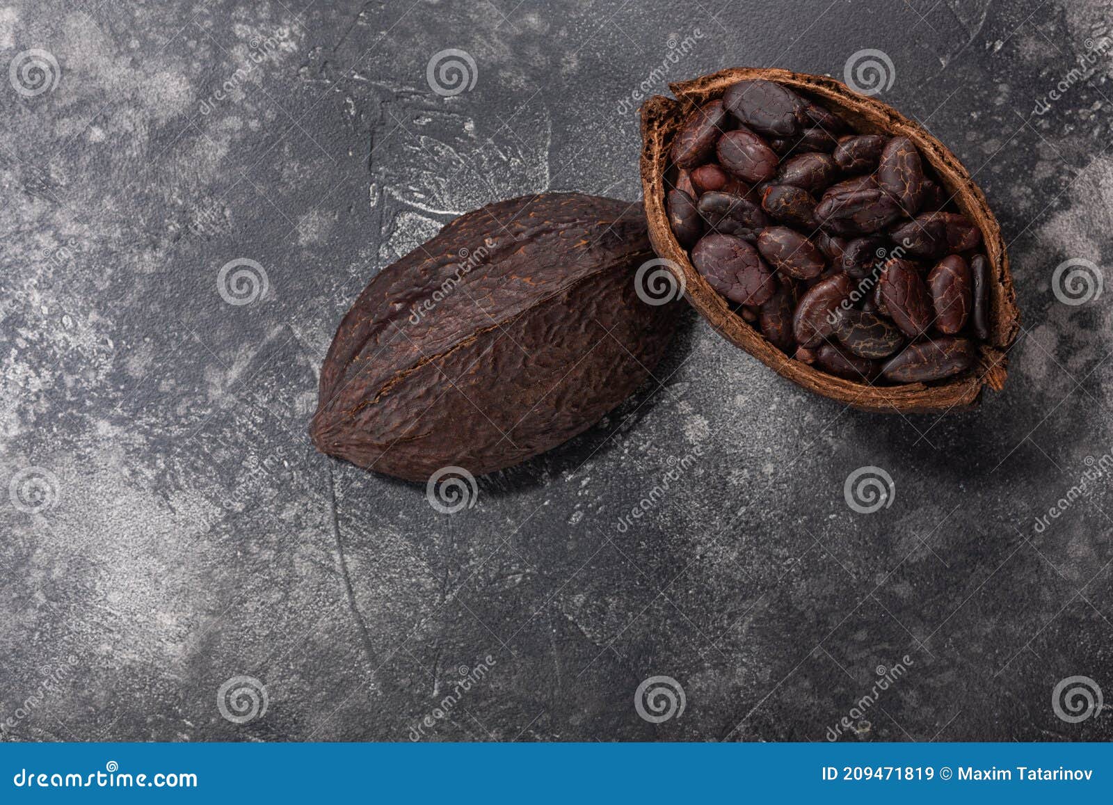 Split Fermented Cocoa Pod with Shelled Cacao Beans Atop Dark Grey ...