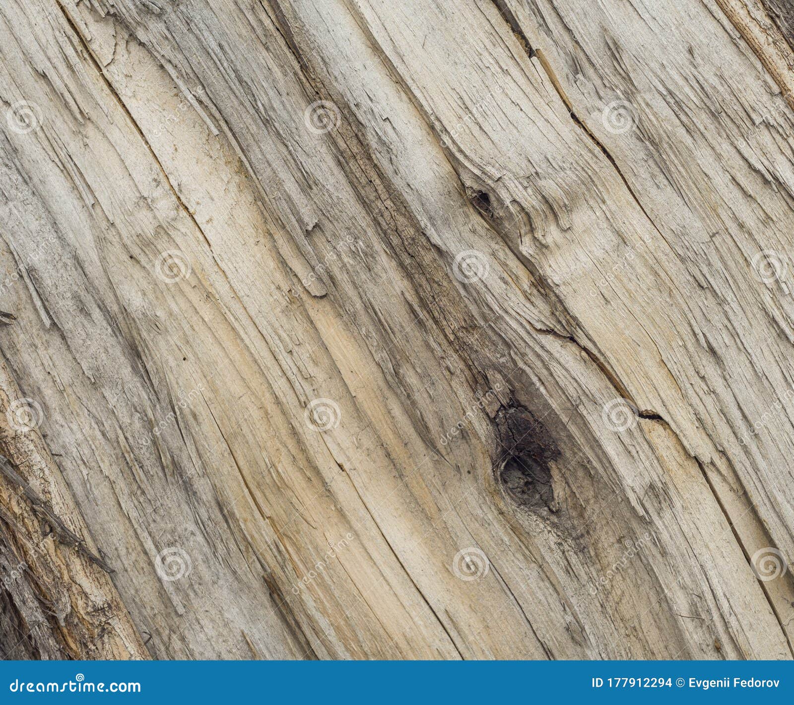 Split of Firewood, Rough Texture of the Surface, Background, Knots ...