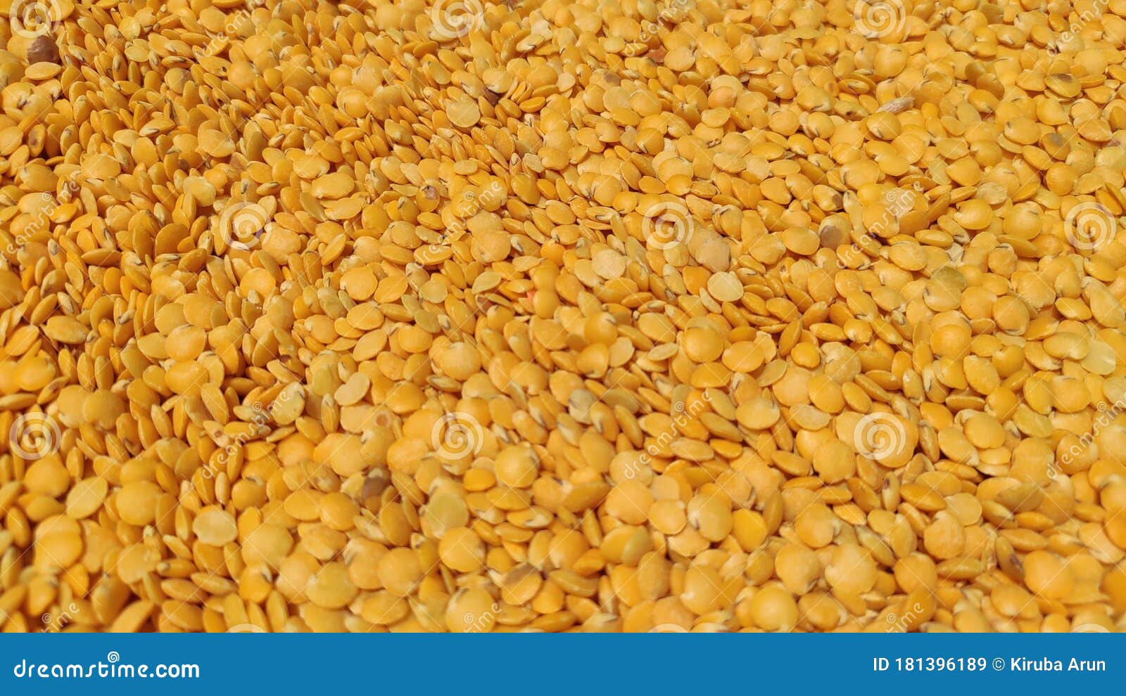 Split Gram Lentil stock image. Image of yellow, nature - 181396189