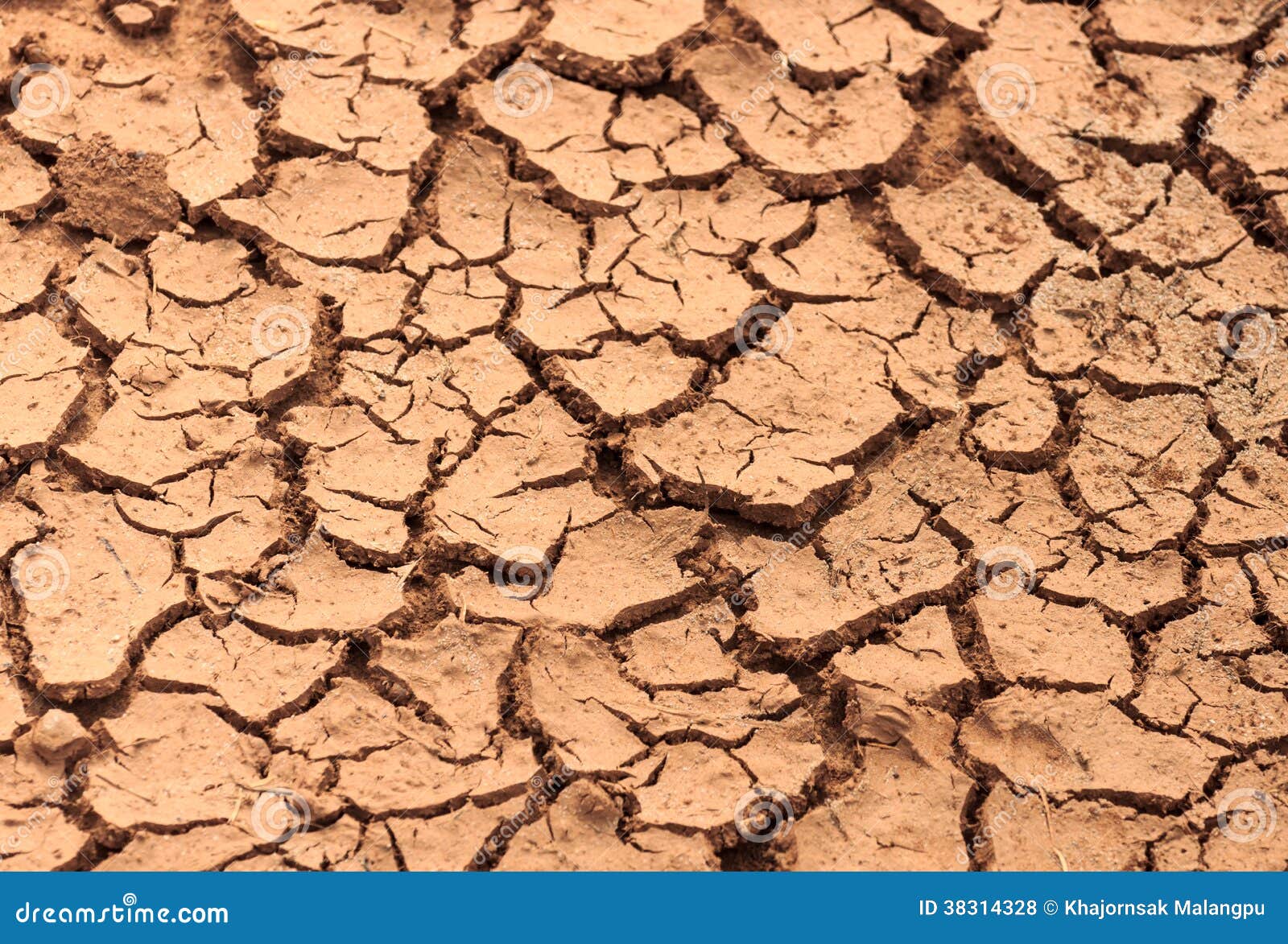 Split ground stock photo. Image of pattern, dryness, environment - 38314328