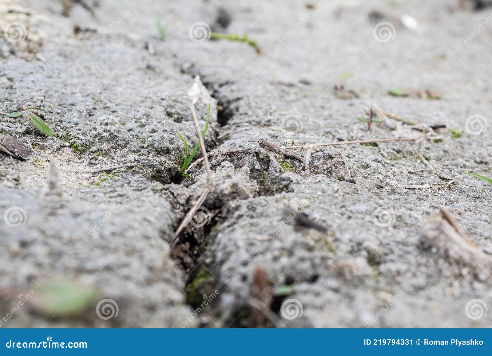 Split Ground after Rain. Crack in the Sandy Surface Stock Image - Image ...