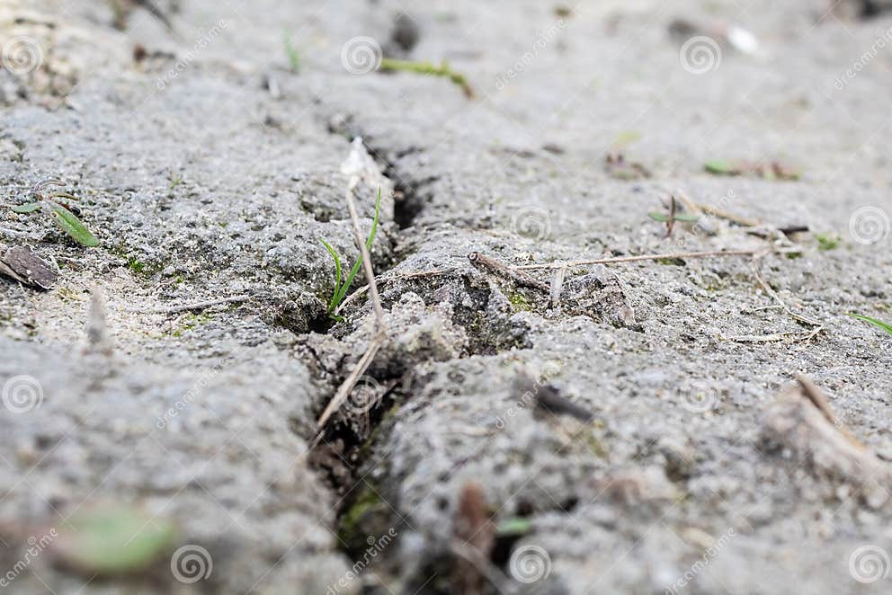 Split Ground after Rain. Crack in the Sandy Surface Stock Image - Image ...