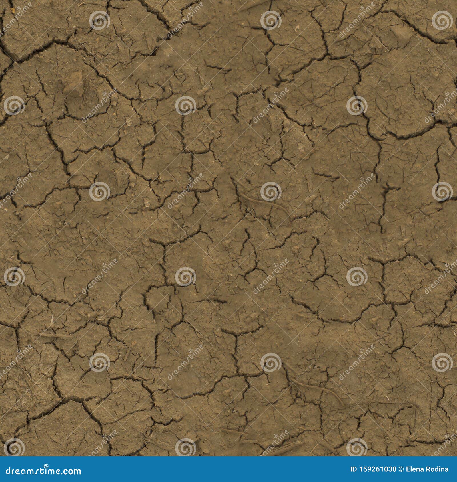 Split Ground Seamless Pattern. the Drought-cracked Earth Stock Photo ...