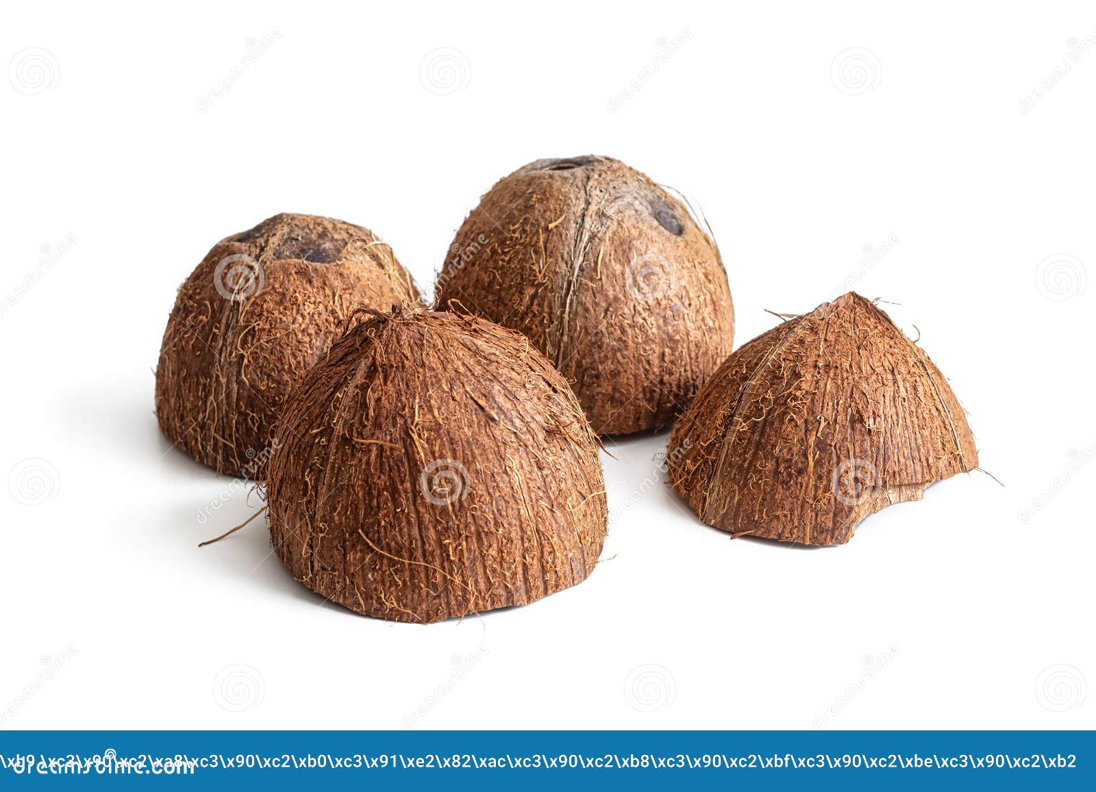 Split in Half Shaggy Brown Coconut Shells Stock Image - Image of ...