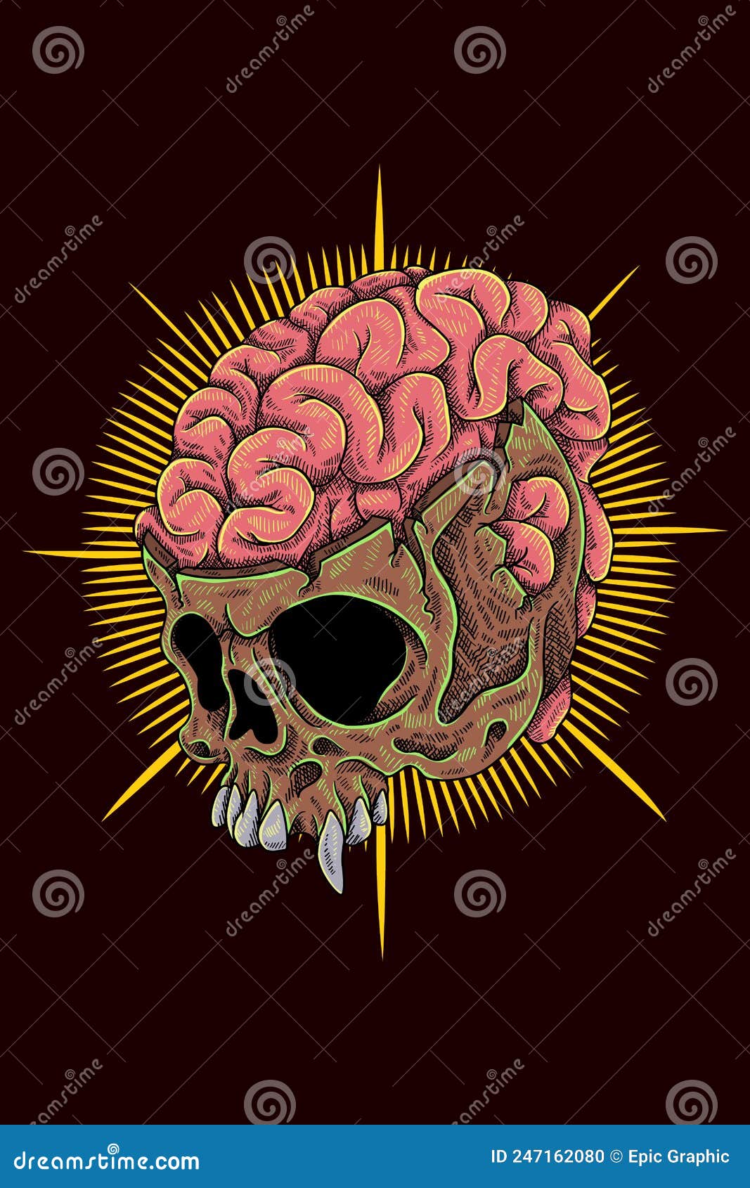 Split Head Skull Vector Illustration Stock Vector - Illustration of ...