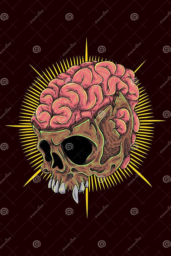 Split Head Skull Vector Illustration Stock Vector - Illustration of ...