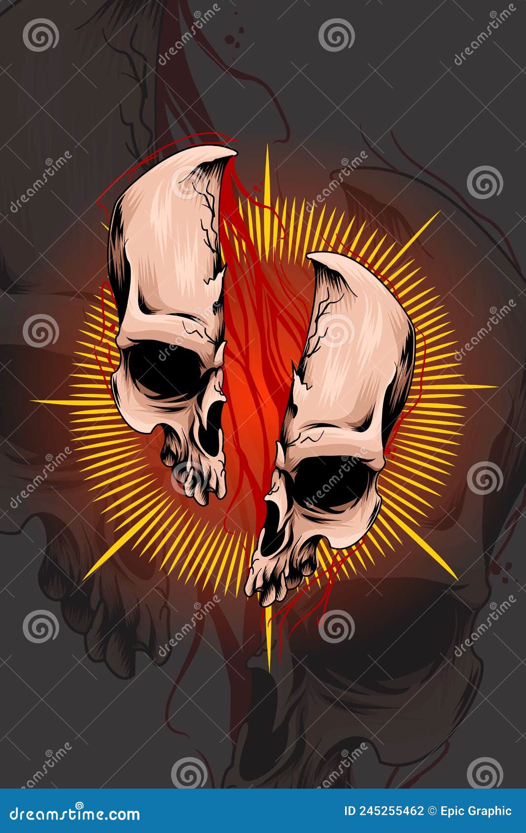 Split Head Skull Vector Illustration Stock Vector - Illustration of ...