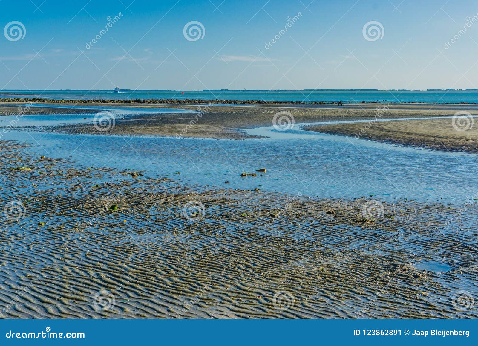 Split Ocean on the Beach Water Landscape Stock Image - Image of puddle ...