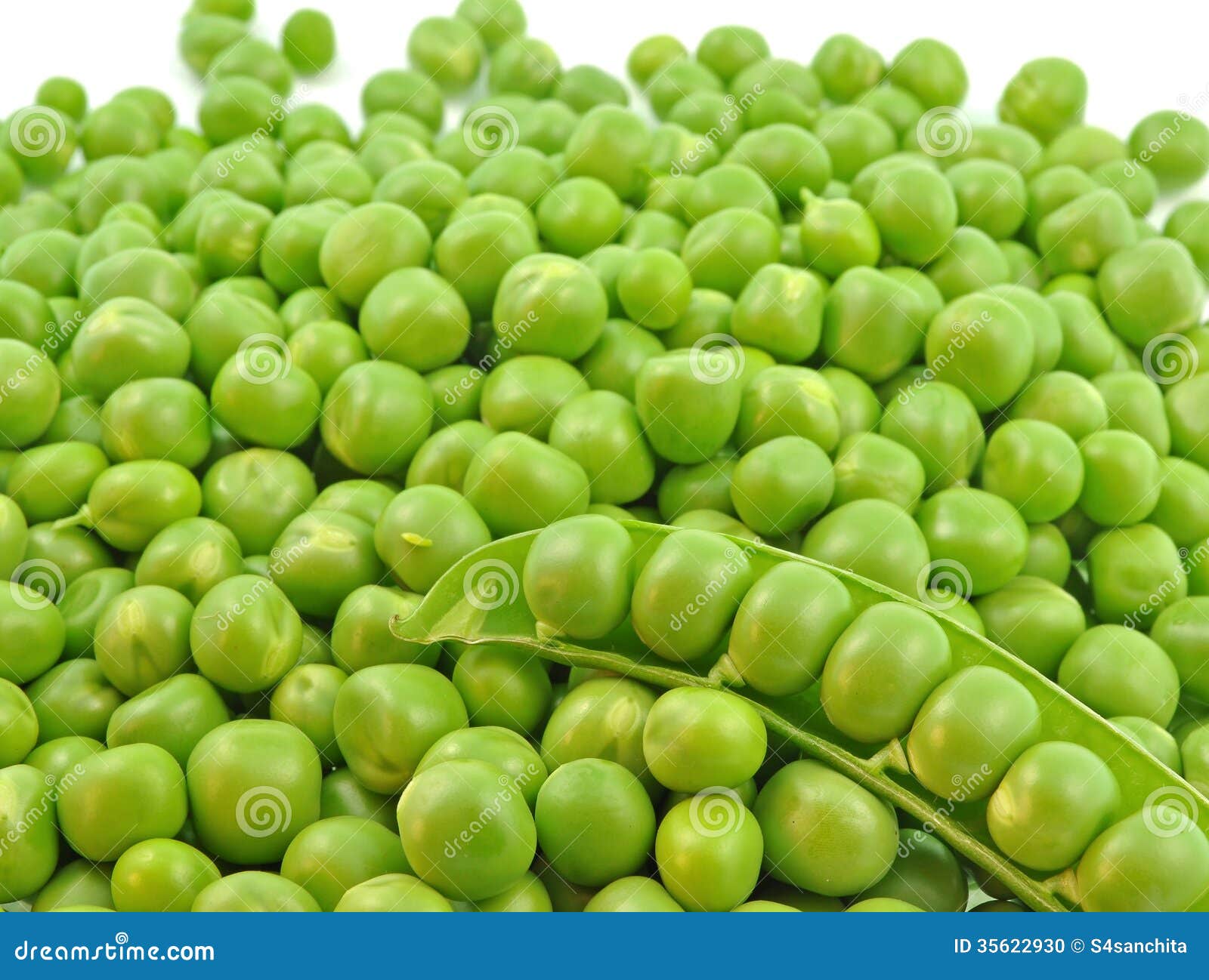 Split Pod and Loose Pea Seeds Stock Photo - Image of seed, loose: 35622930