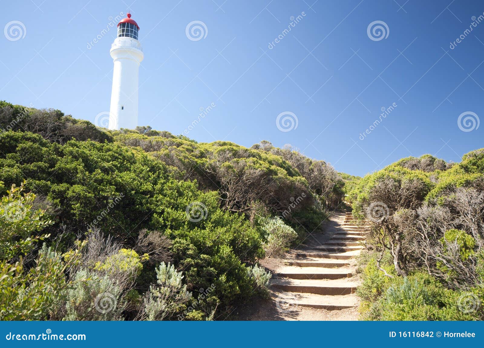 Split Point Lighthouse Great Ocean Road Stock Photo - Image of point ...