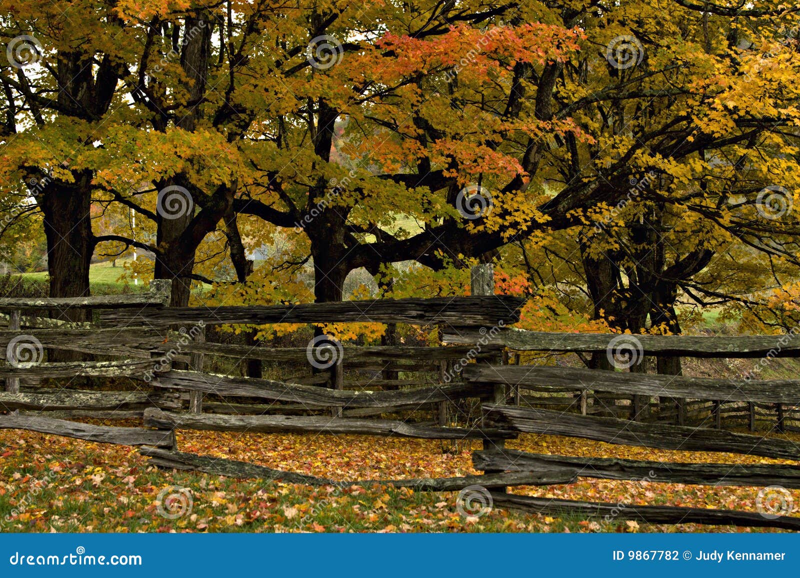Split Rail Fence and Autumn Trees Stock Photo - Image of national ...