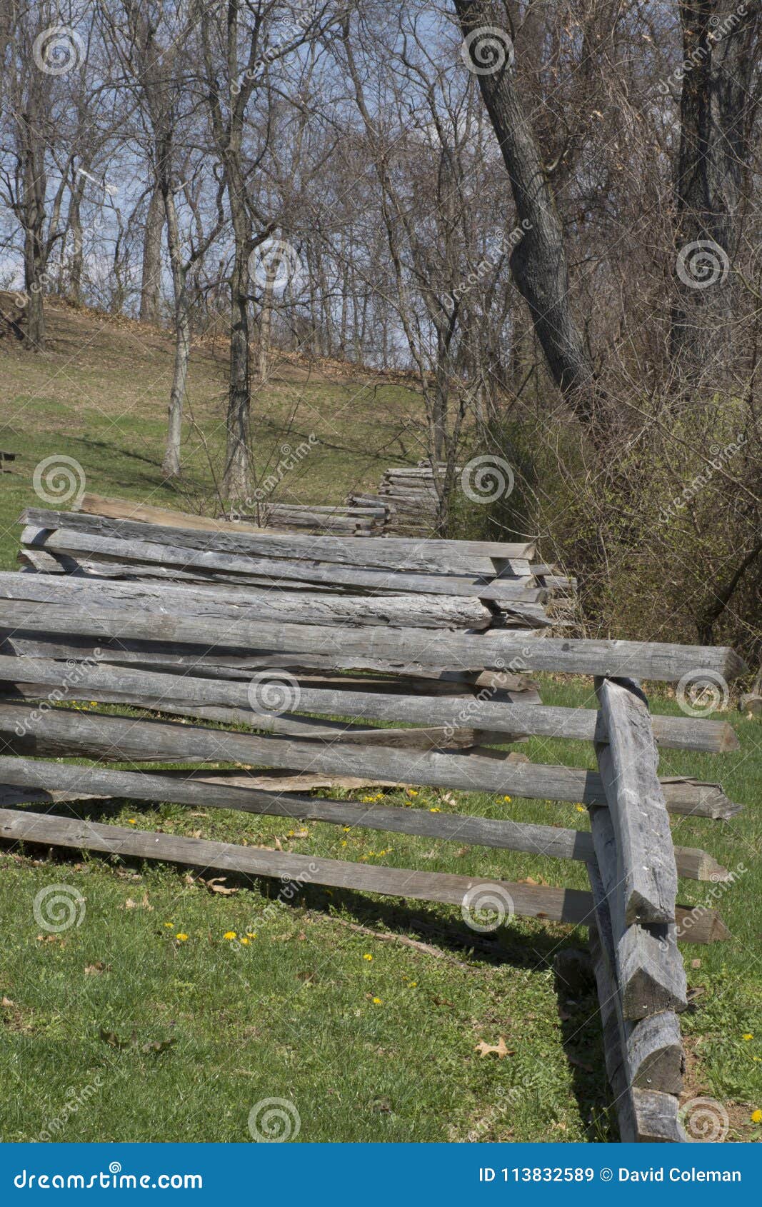 Split rail fence line stock image. Image of tree, fence - 113832589