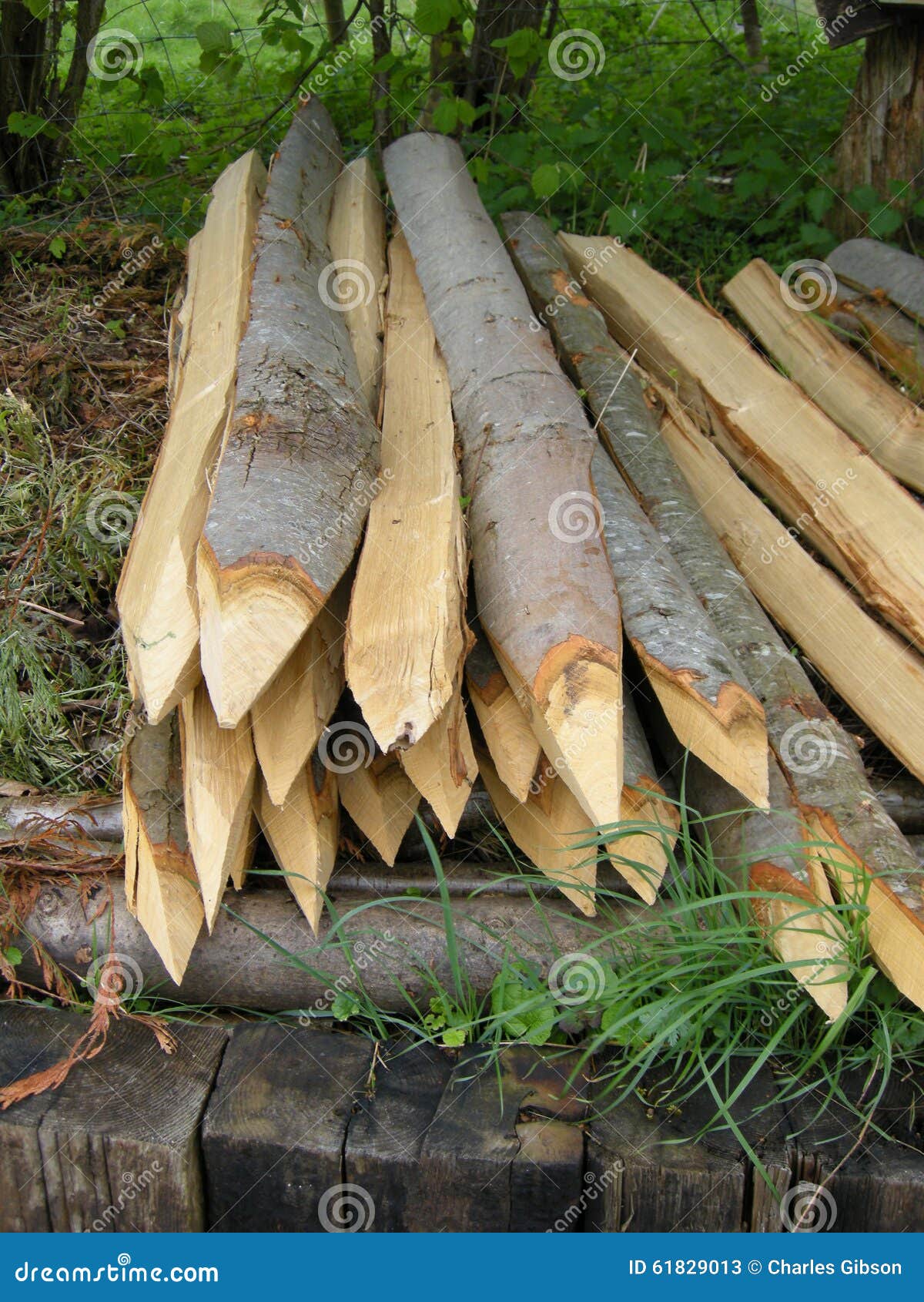 Split rail fence posts stock image. Image of fence, timber - 61829013