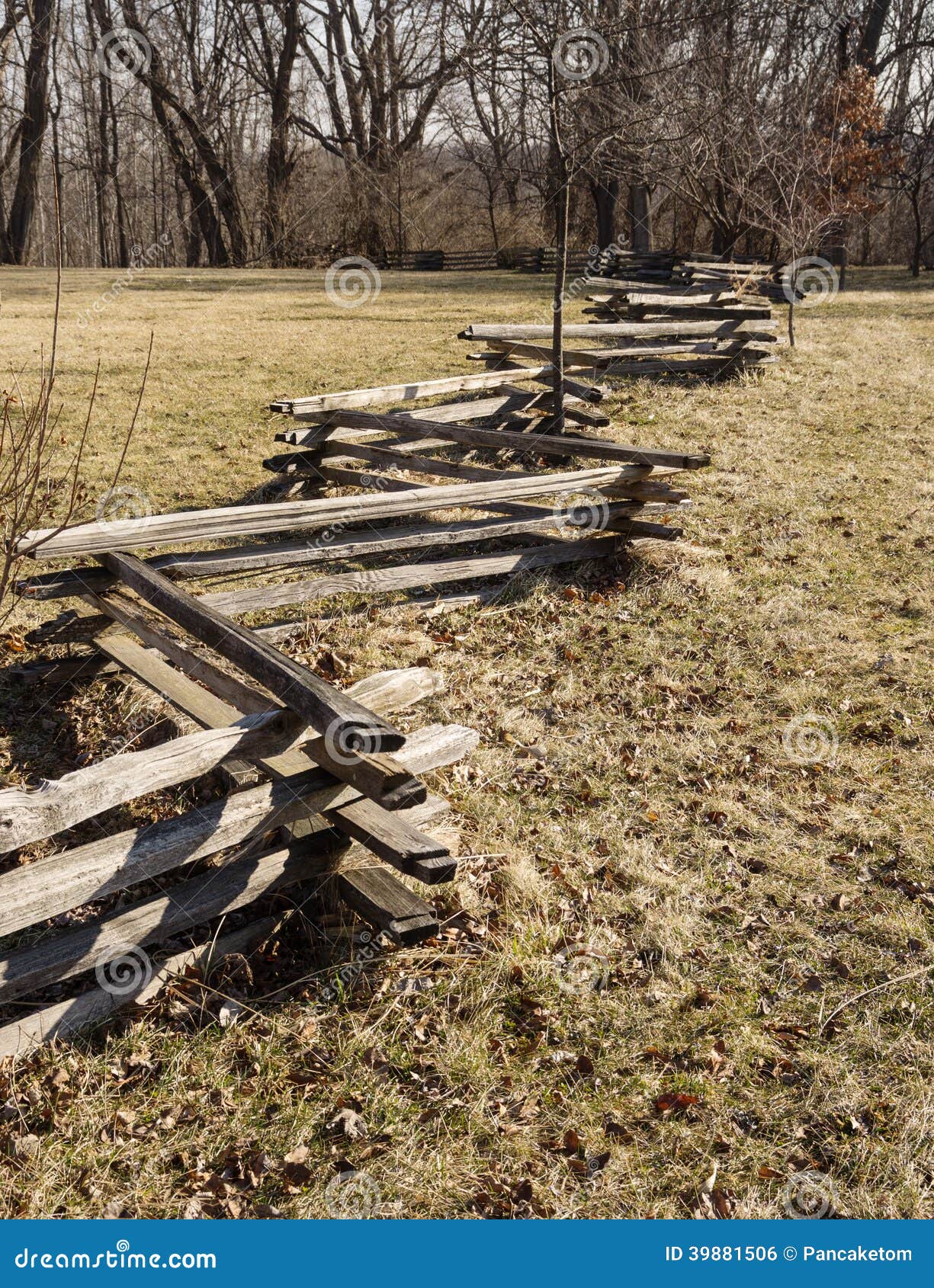 Fence Rail Snake Stock Photos - Free & Royalty-Free Stock Photos from ...