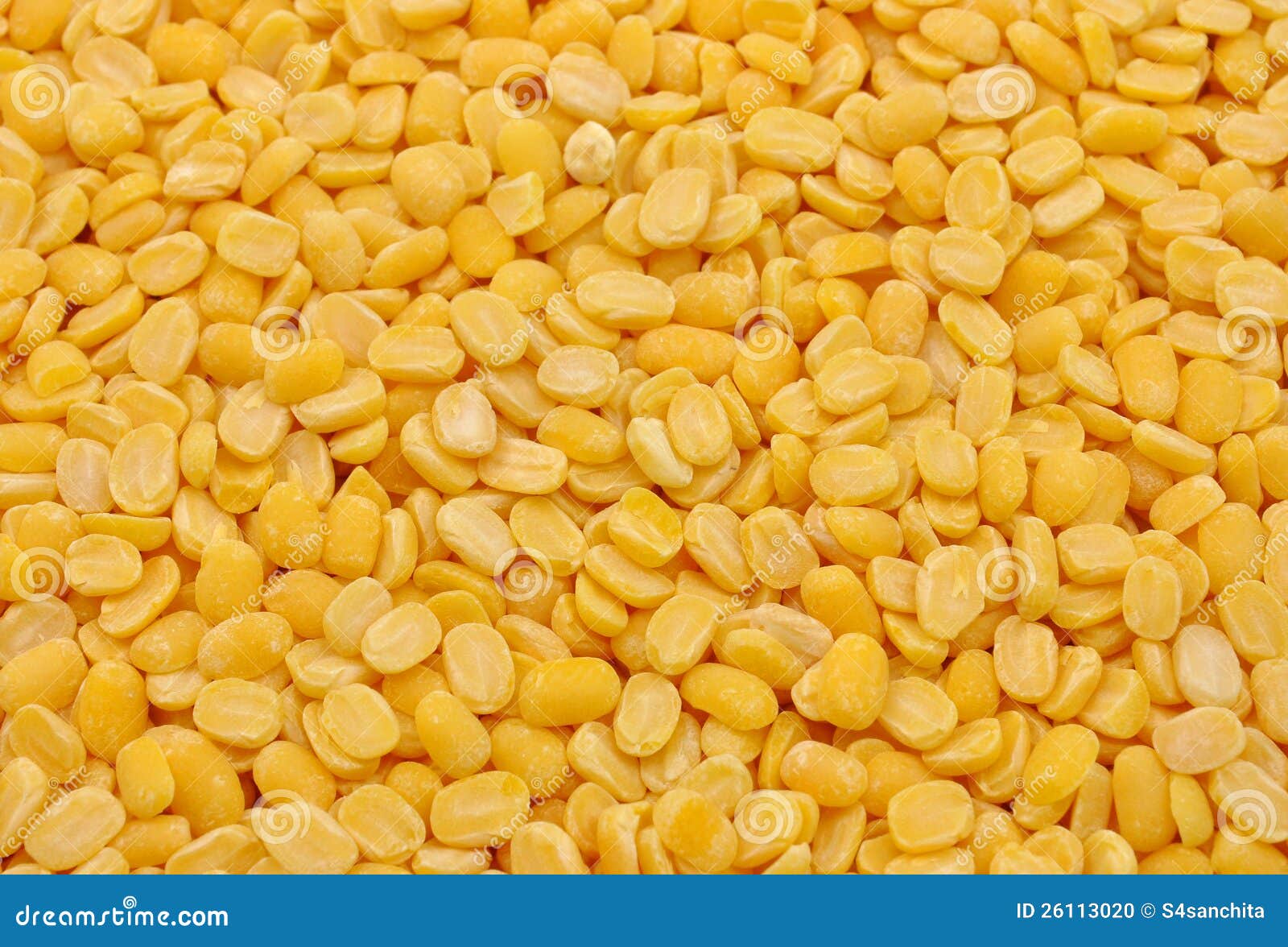 Split seeds of moong pulse stock photo. Image of bean - 26113020