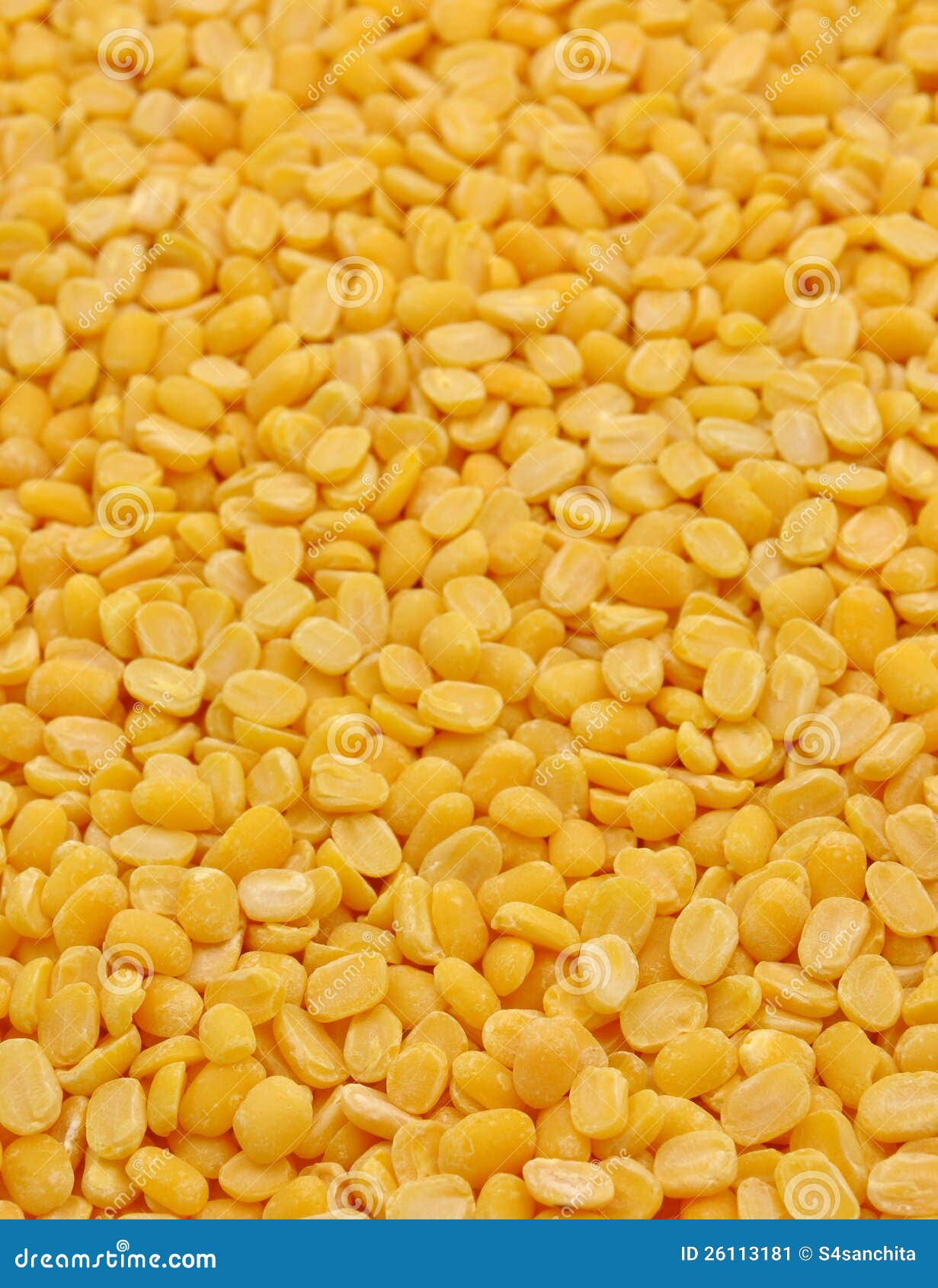 Split seeds of moong pulse stock image. Image of legume - 26113181